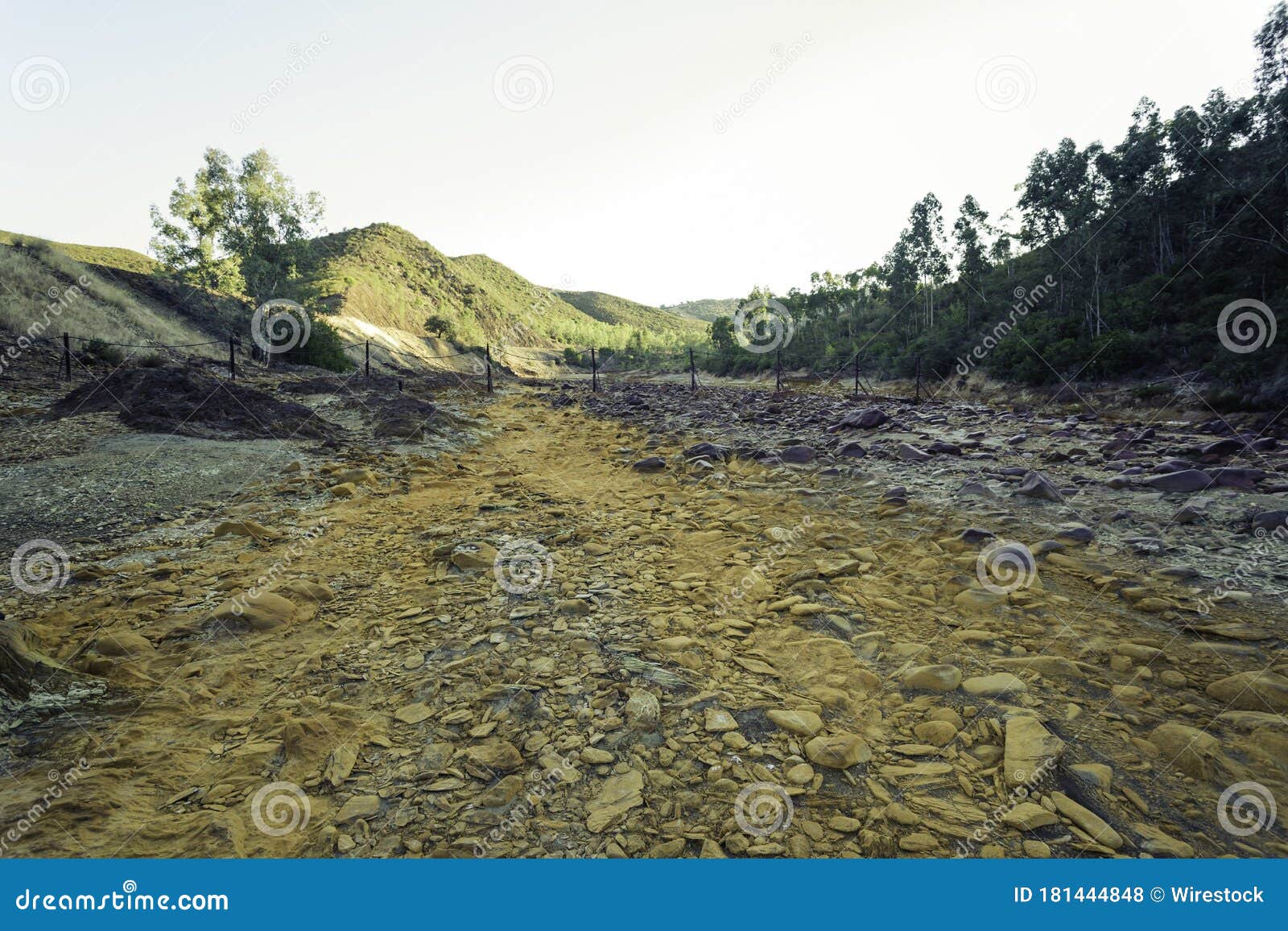Ground Level Shot of a Dry Riverbed between Mountains with Trees Stock ...
