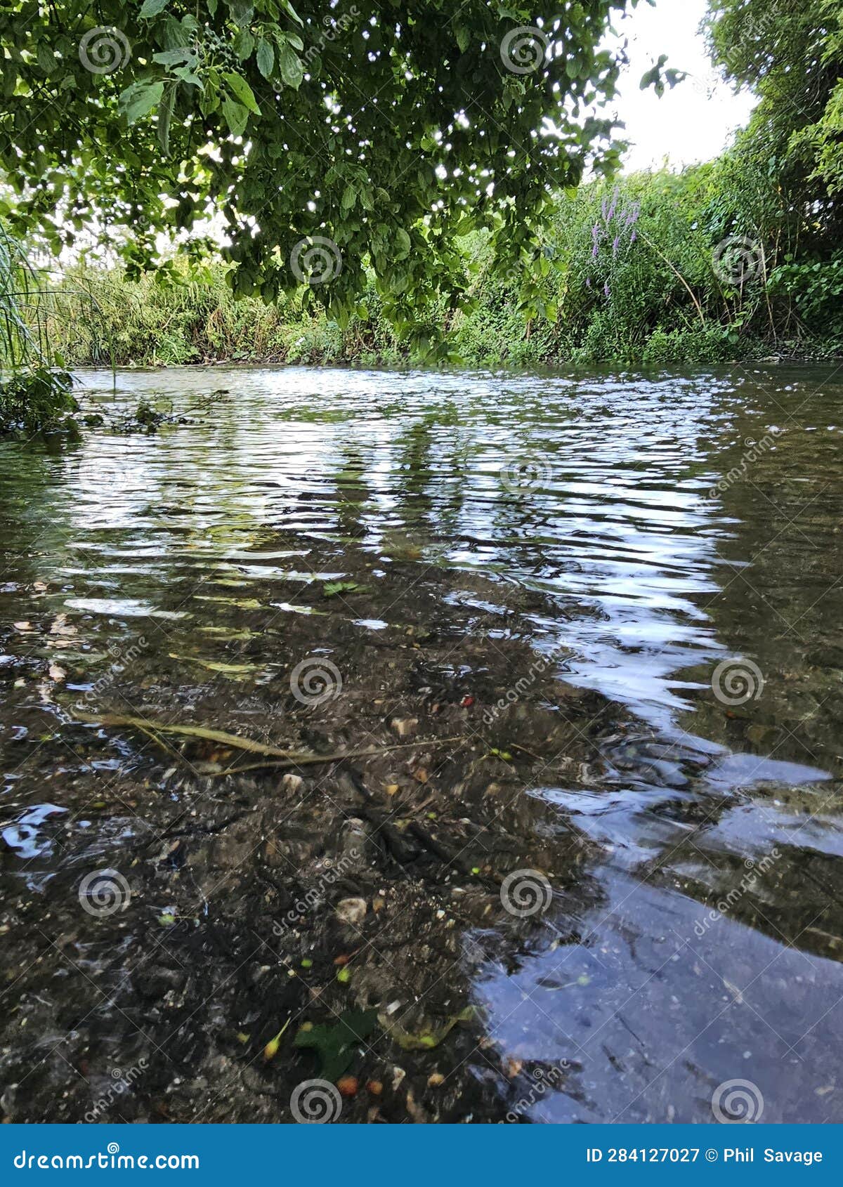 A clear river bed view stock image. Image of wild, river - 284127027