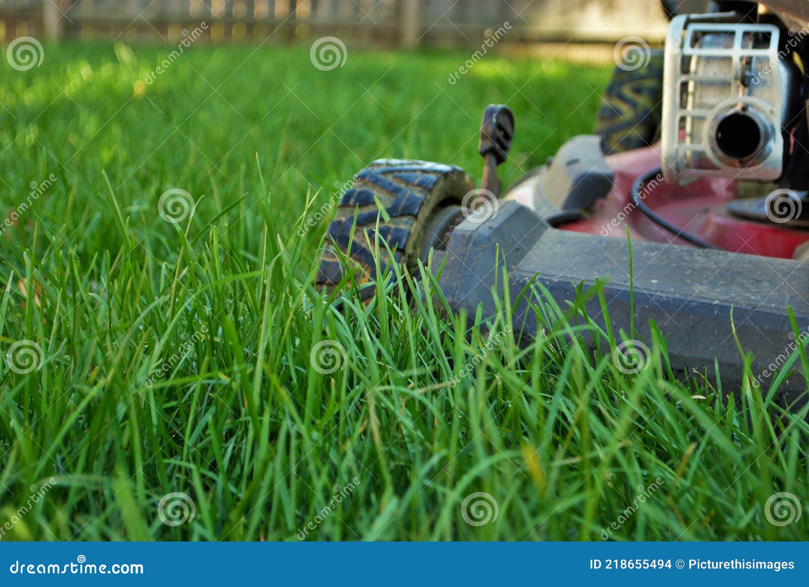Ground Level View of a Lawnmower in Tall Grass Stock Photo - Image of ...