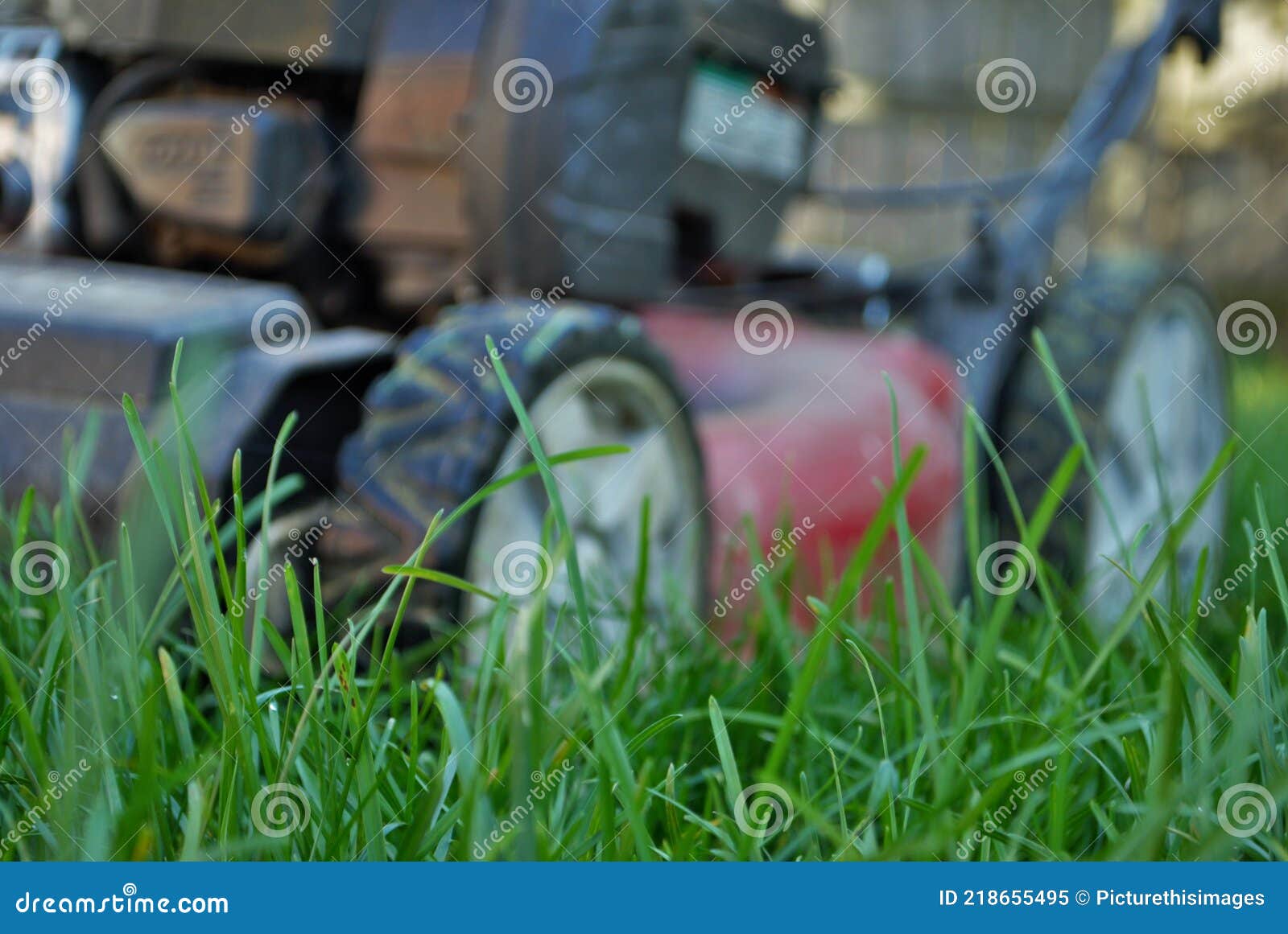 Ground Level View of a Lawnmower in Tall Grass Stock Image - Image of ...