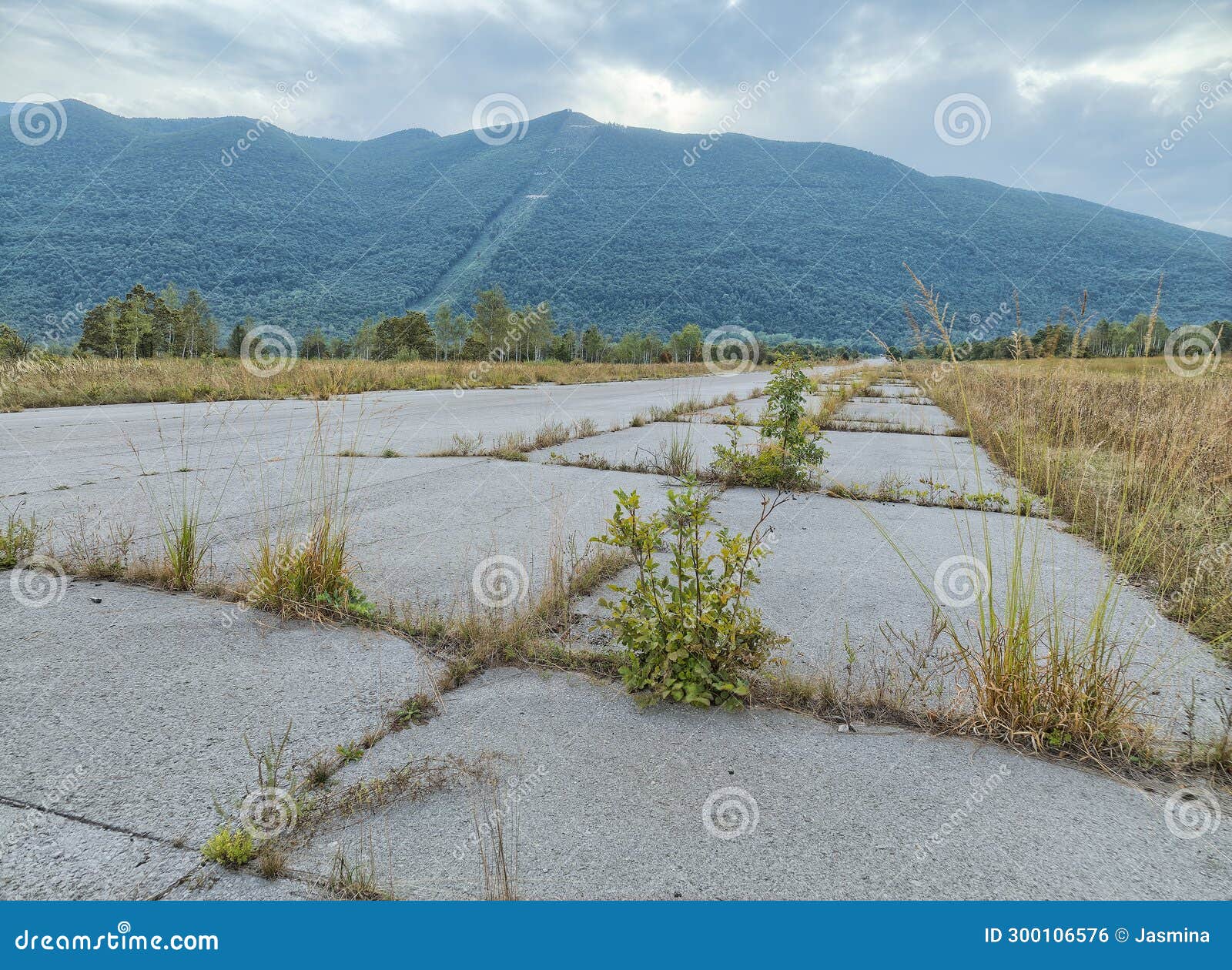 Reclaimed by Nature: Zeljava Airfield Stock Photo - Image of abandoned ...