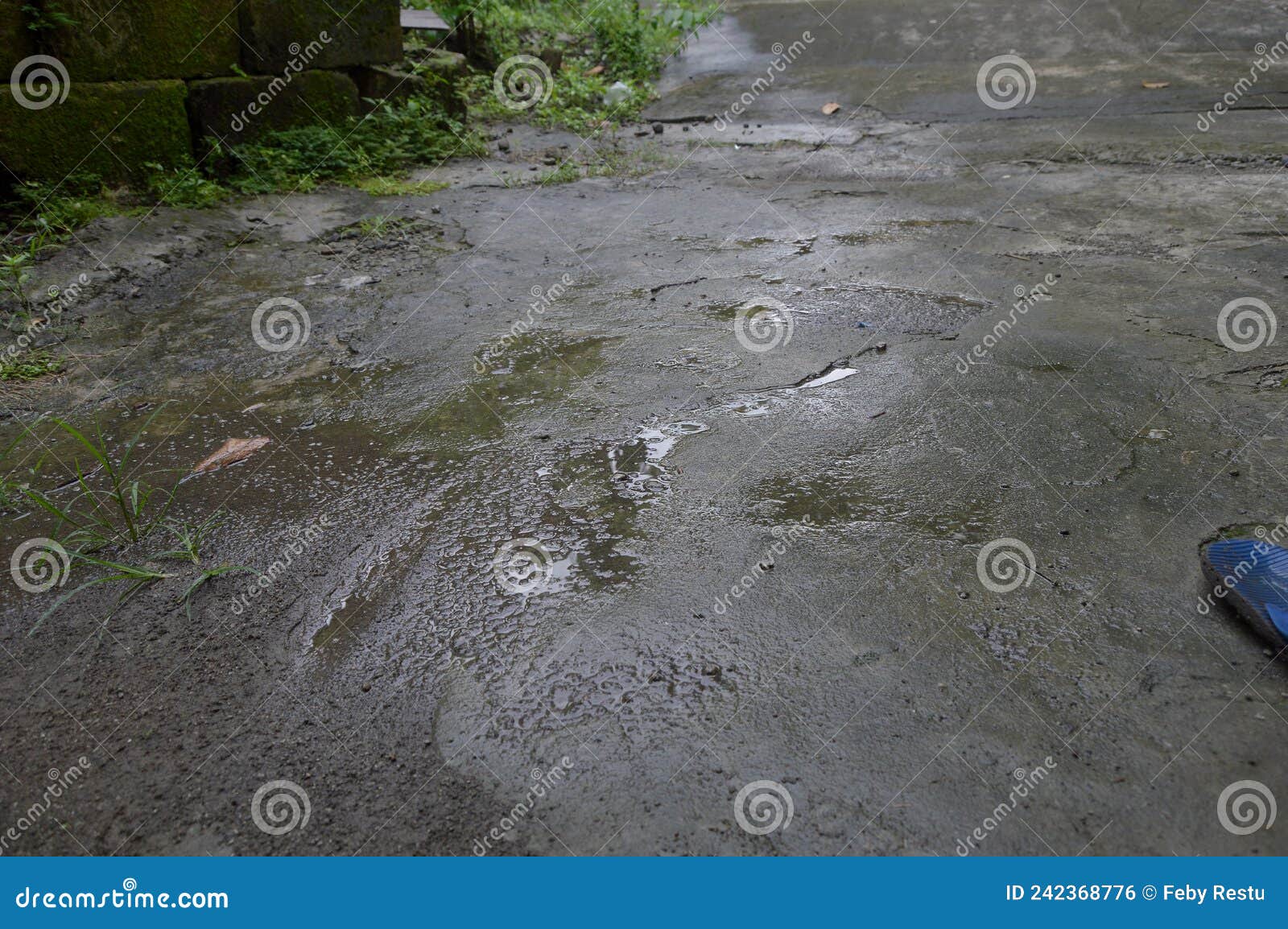 The Ground Looks Wet after it Rains. Stock Photo - Image of neighbors ...