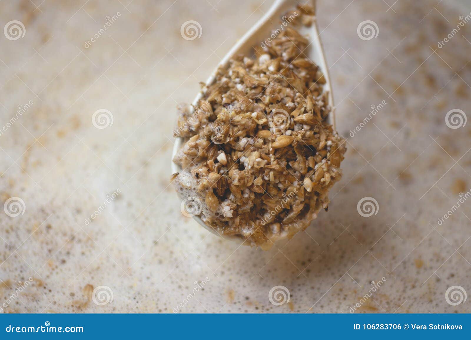 Ground Malt on a Spoon. Process of Making Home Beer from Malt Stock ...