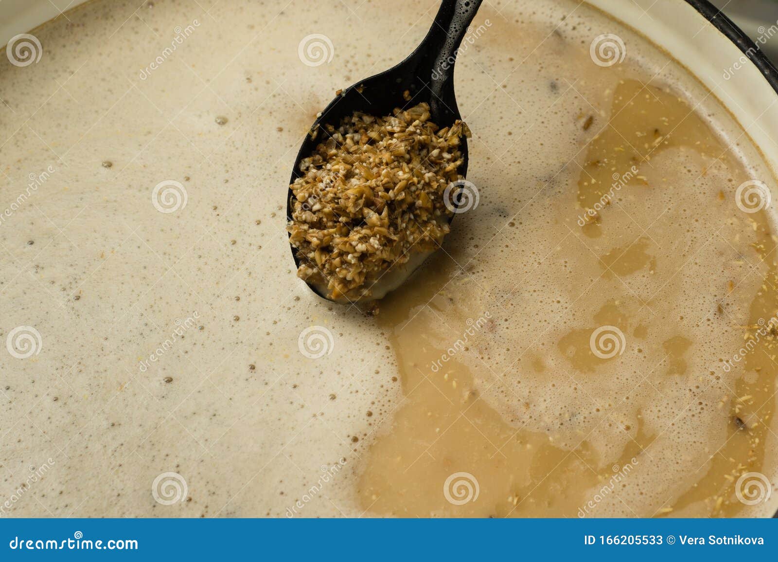 Ground Malt On A Spoon. Process Of Making Home Beer From Malt. Craft ...