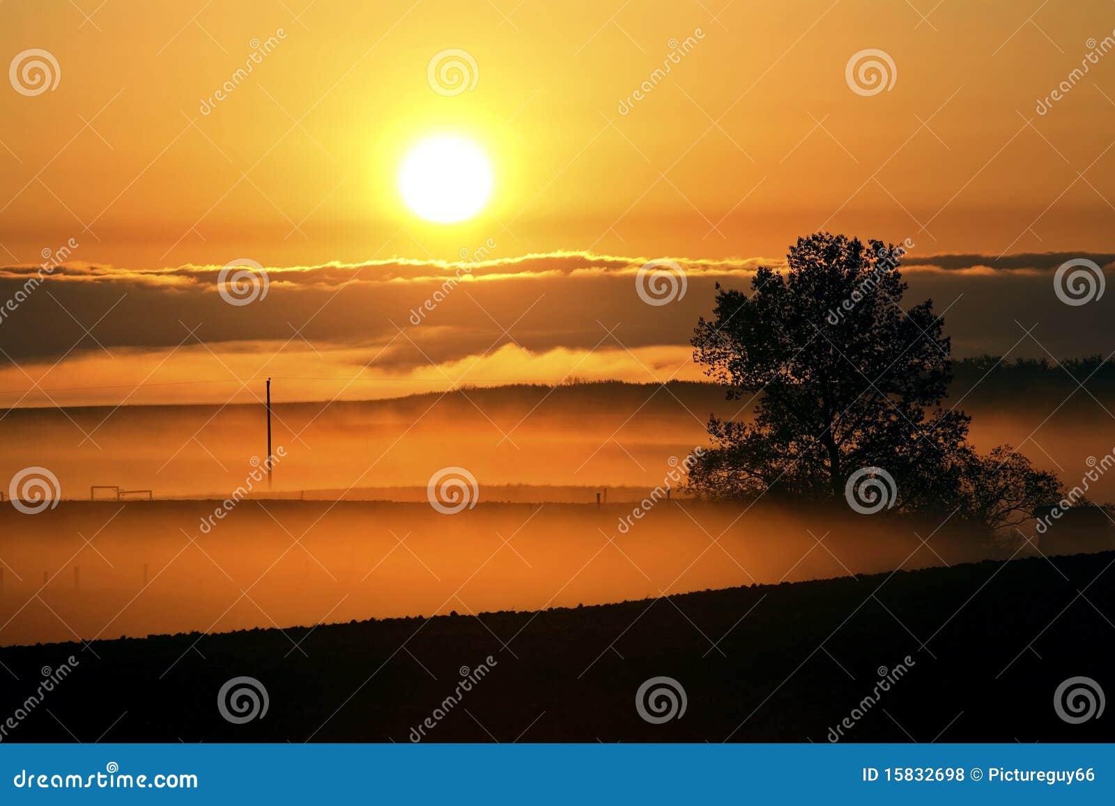 Ground mist stock photo. Image of landscape, rural, canada - 15832698