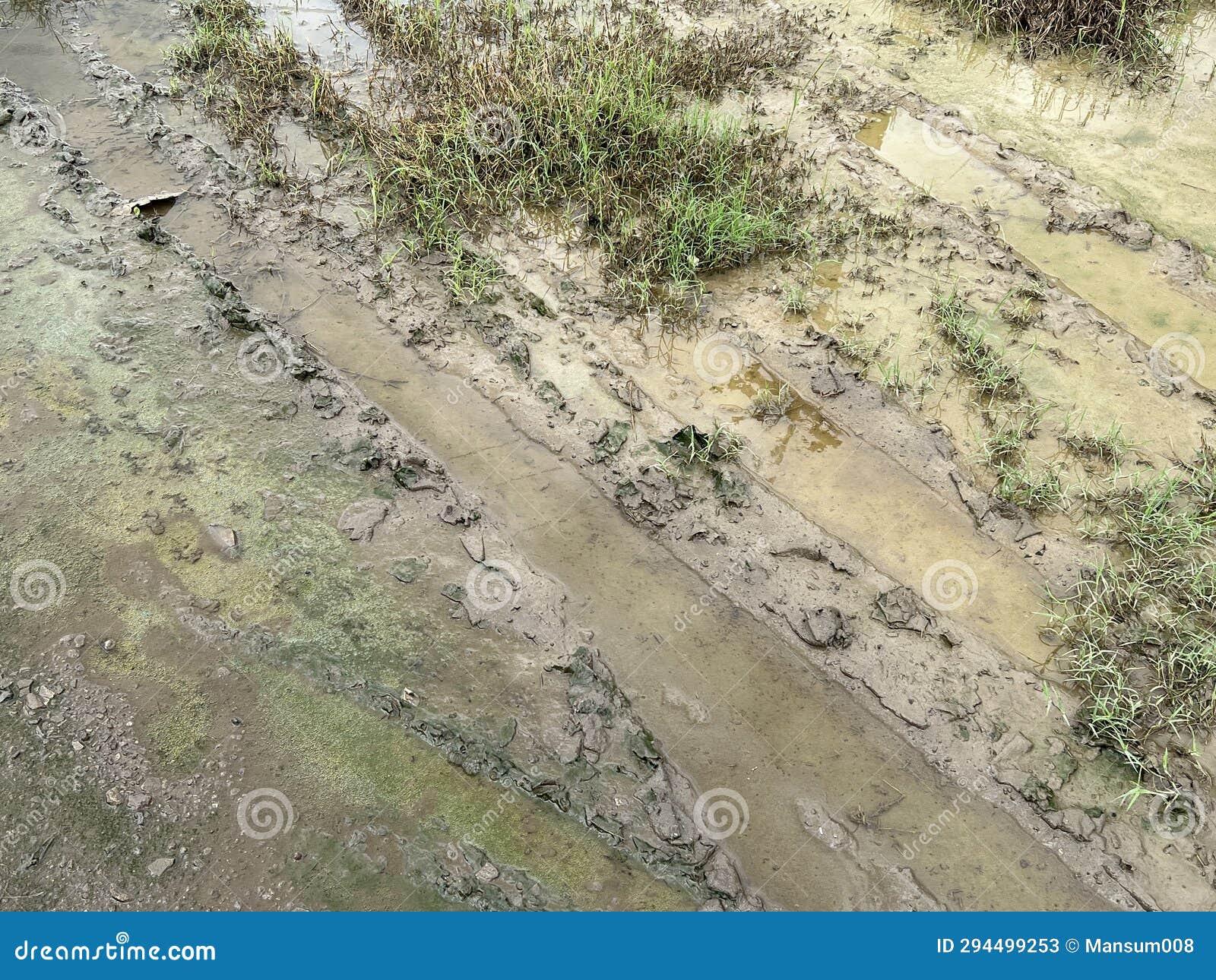 Muddy Texture Background Design. Rough Patchy Surface Creative ...