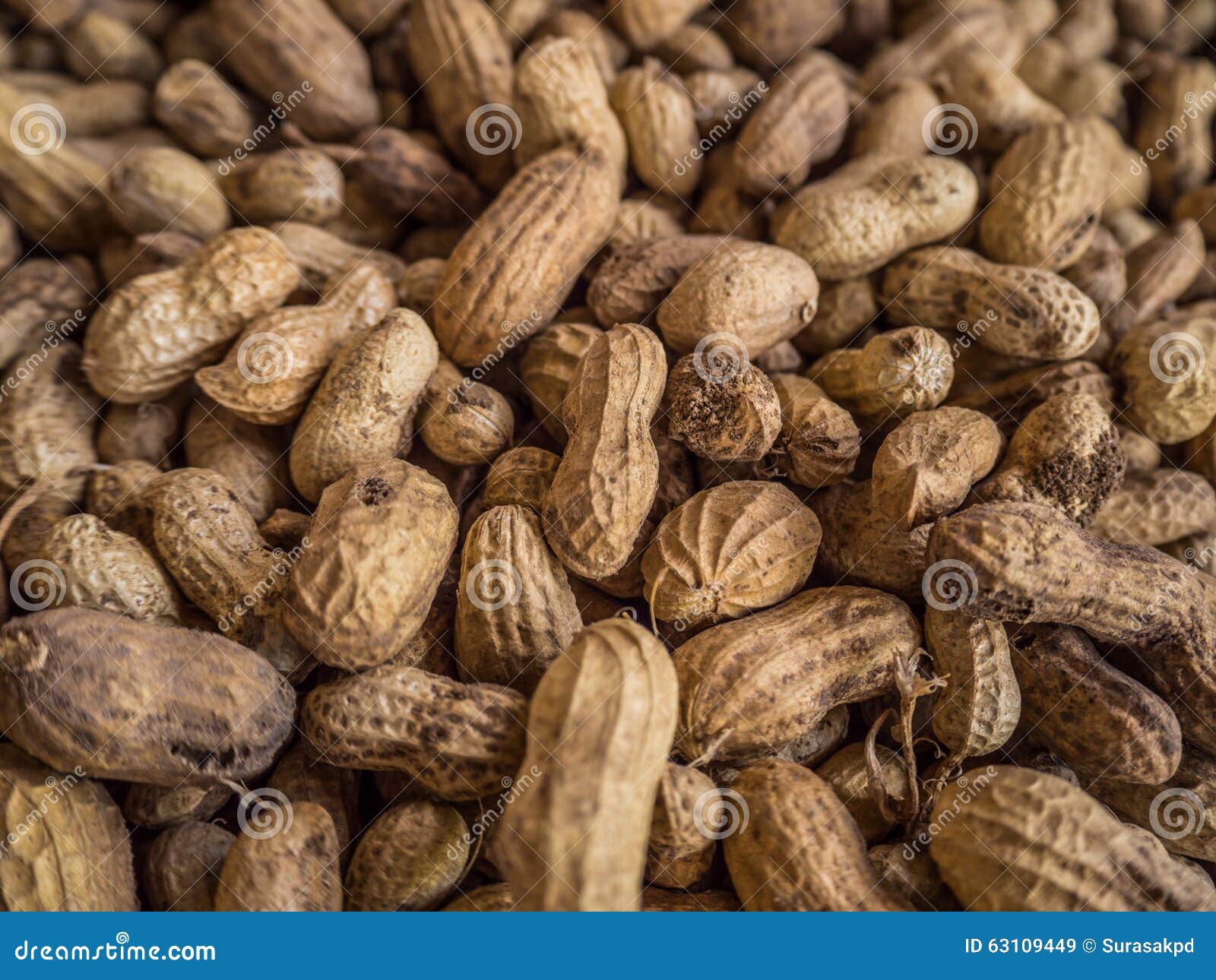 Ground nut disease rust stock image. Image of unsaturated - 63109449