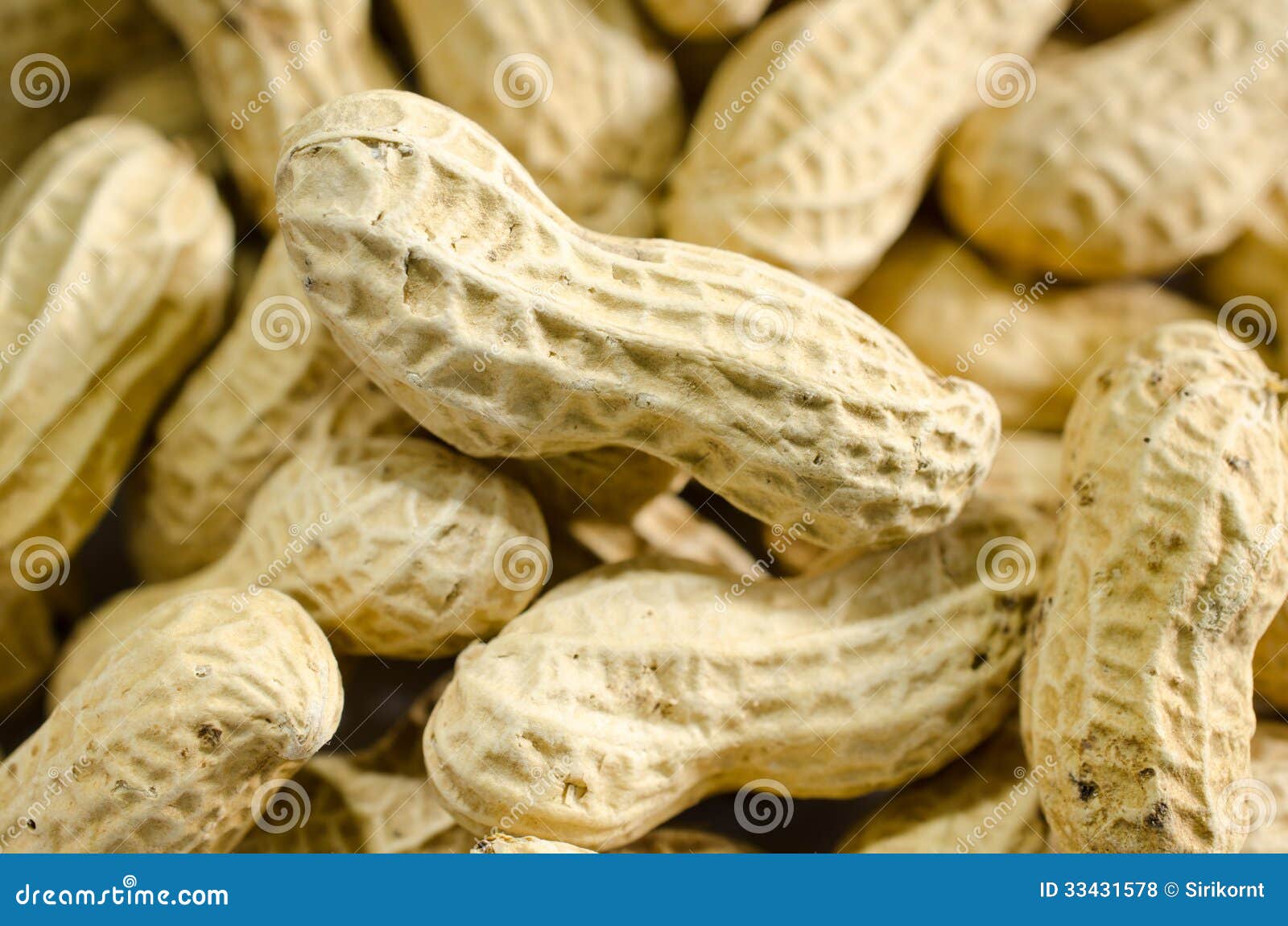 Ground nut stock photo. Image of skin, texture, crunchy - 33431578