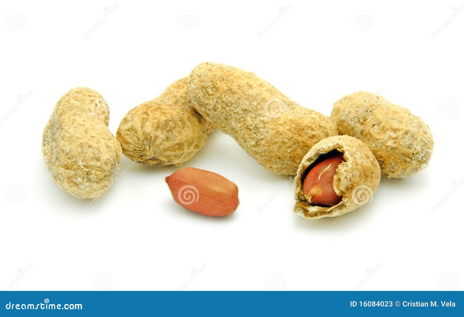 Ground nuts stock image. Image of food, groundnut, close - 16084023