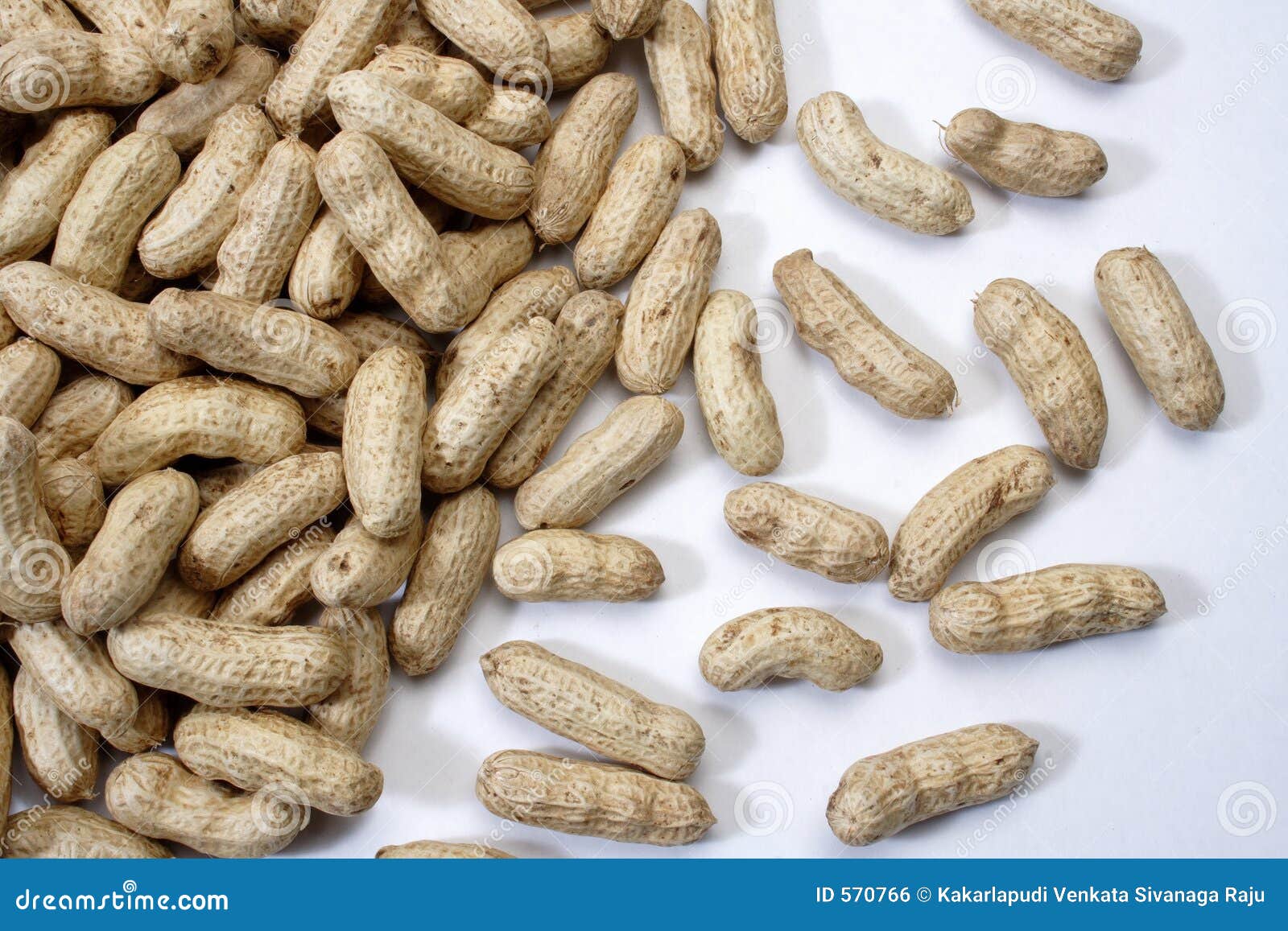 Ground nuts stock photo. Image of crack, peanut, warm, stack - 570766