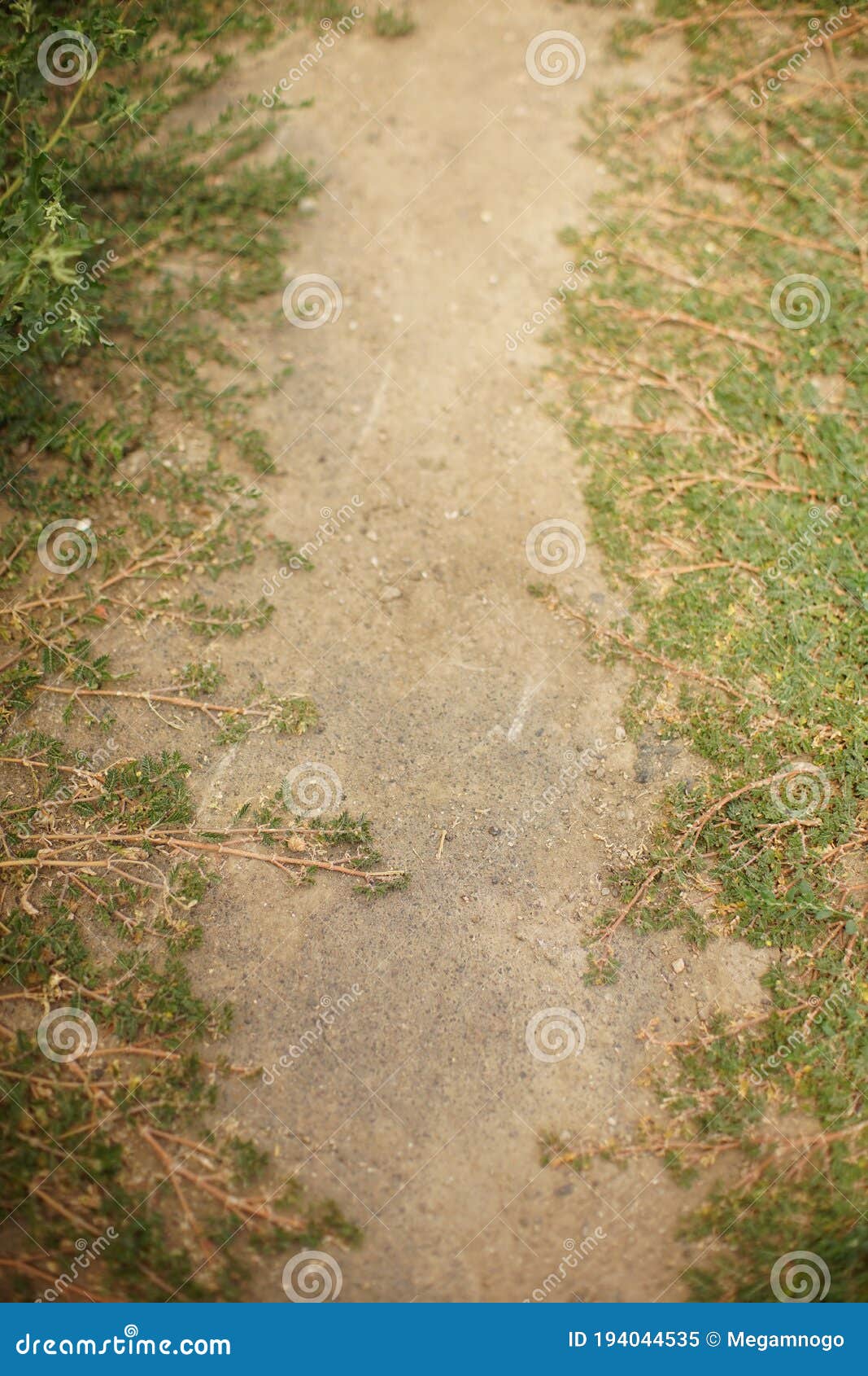 Ground Path with Grass Around. Top View Stock Image - Image of scenery ...