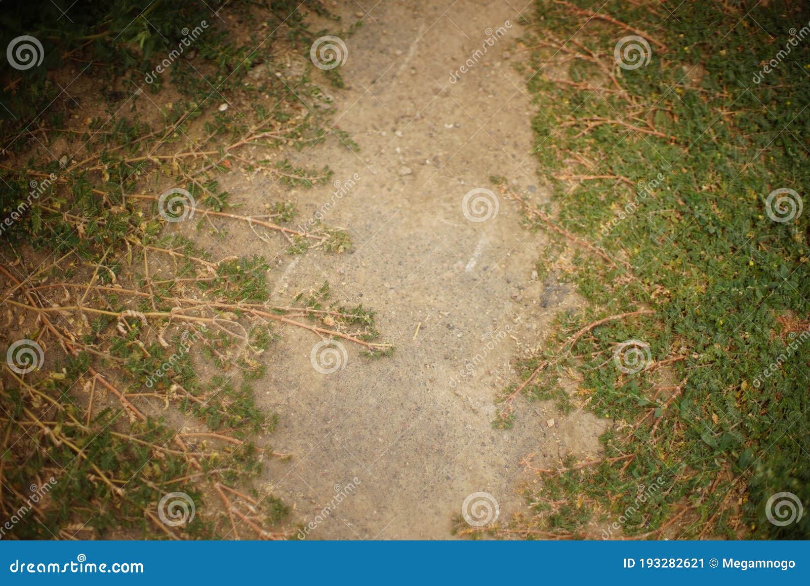 Ground Path With Moss Royalty-Free Stock Image | CartoonDealer.com ...