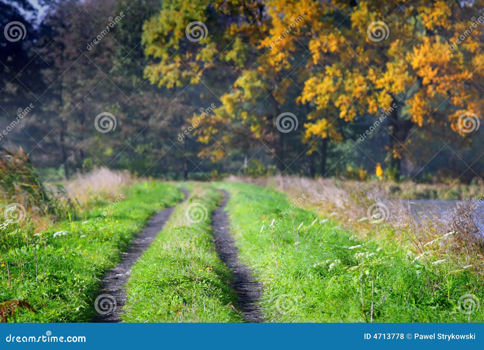 Ground path between meadow stock photo. Image of road - 4713778
