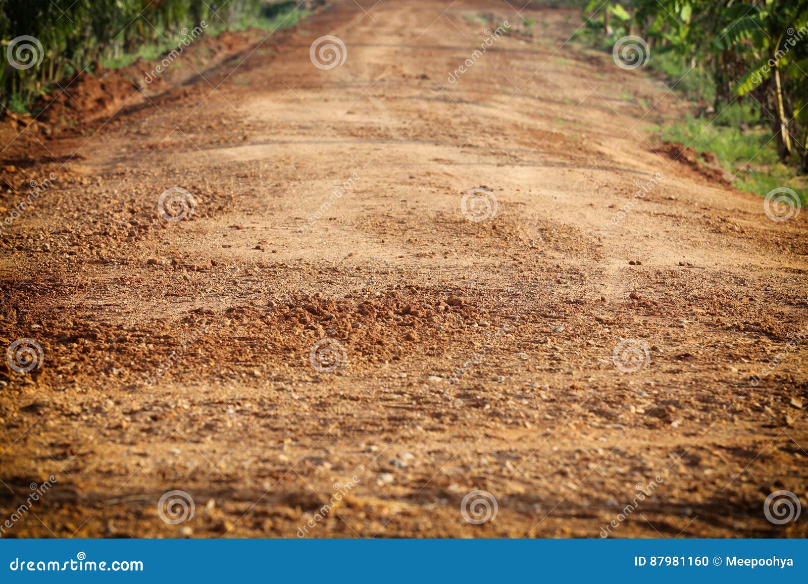 Ground path of a road. stock photo. Image of road, street - 87981160