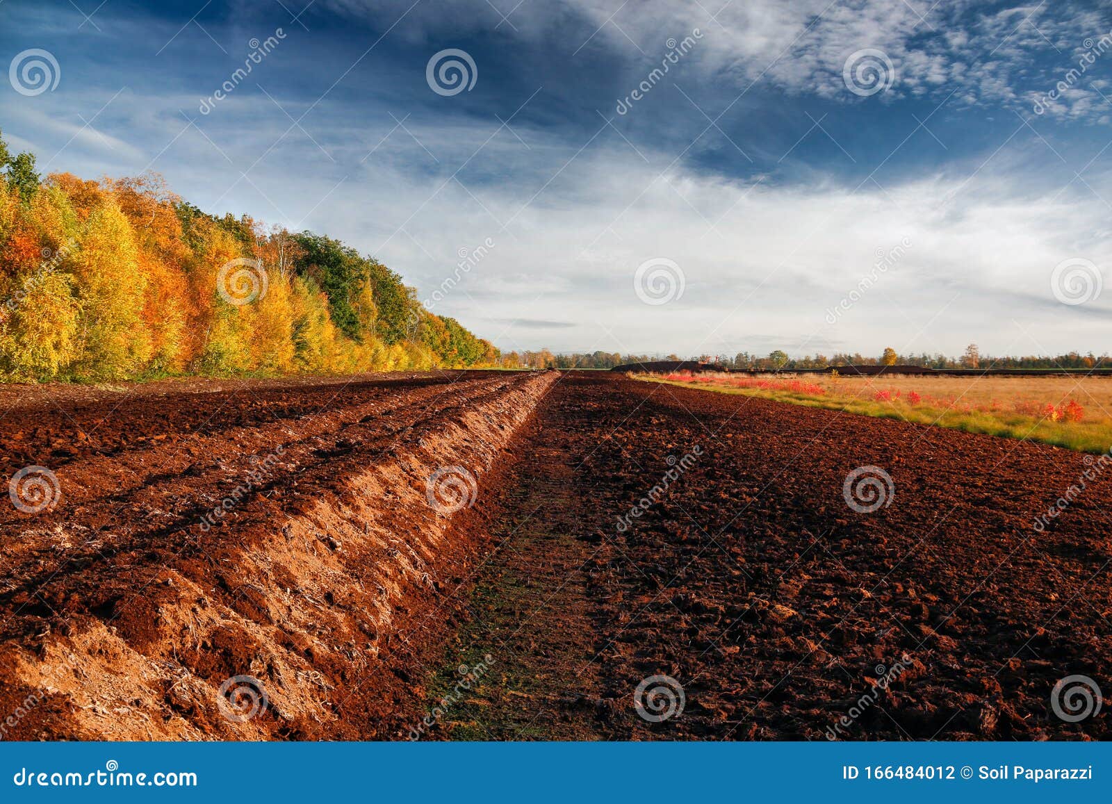 Ground Peat at an Peat Excavation Side Stock Photo - Image of line ...