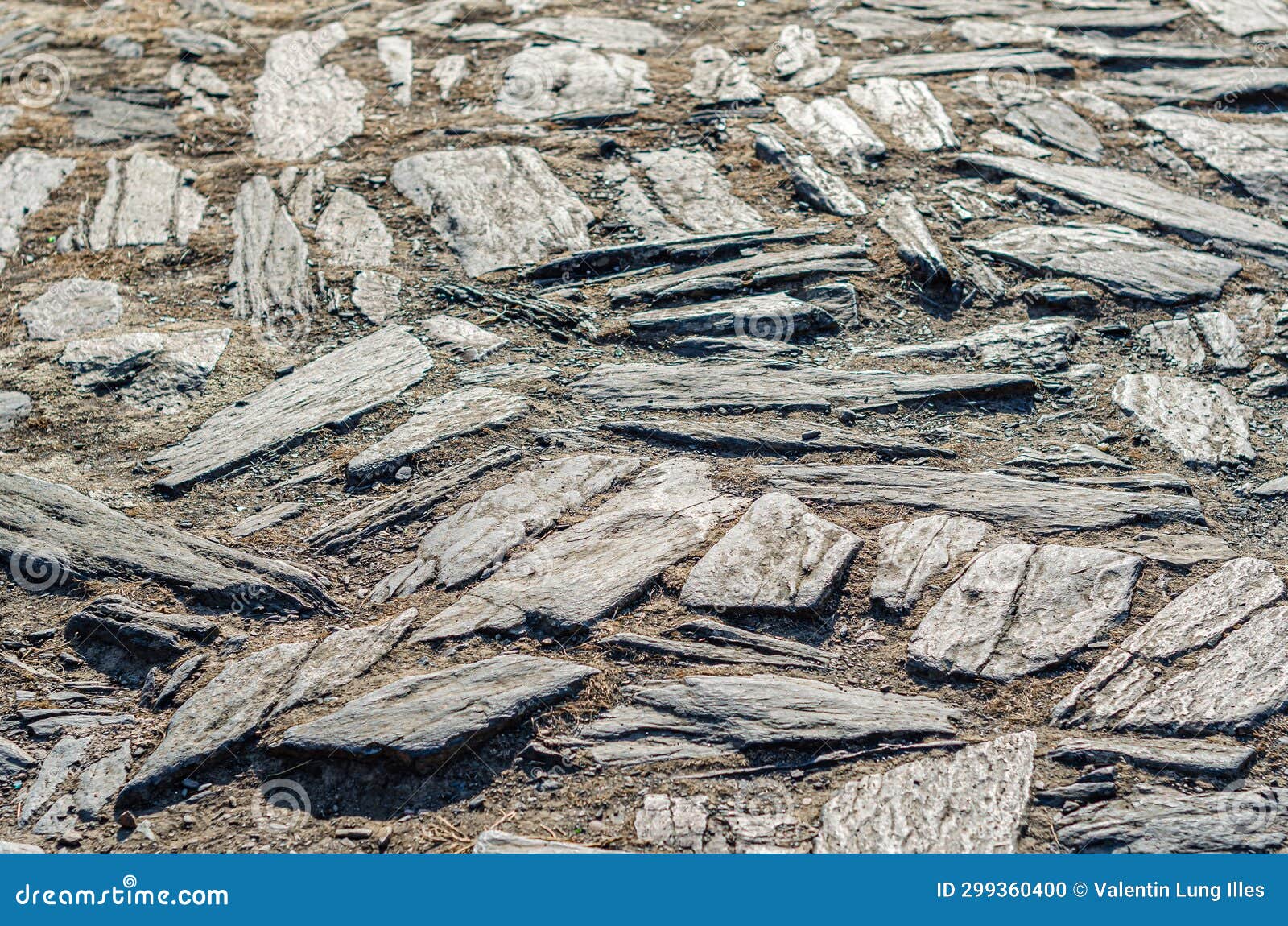 Ground with Pieces of Slate Stock Photo - Image of rough, background ...