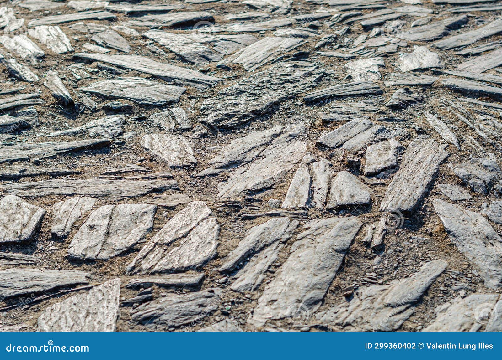 Ground with Pieces of Slate Stock Photo - Image of surface, mineral ...