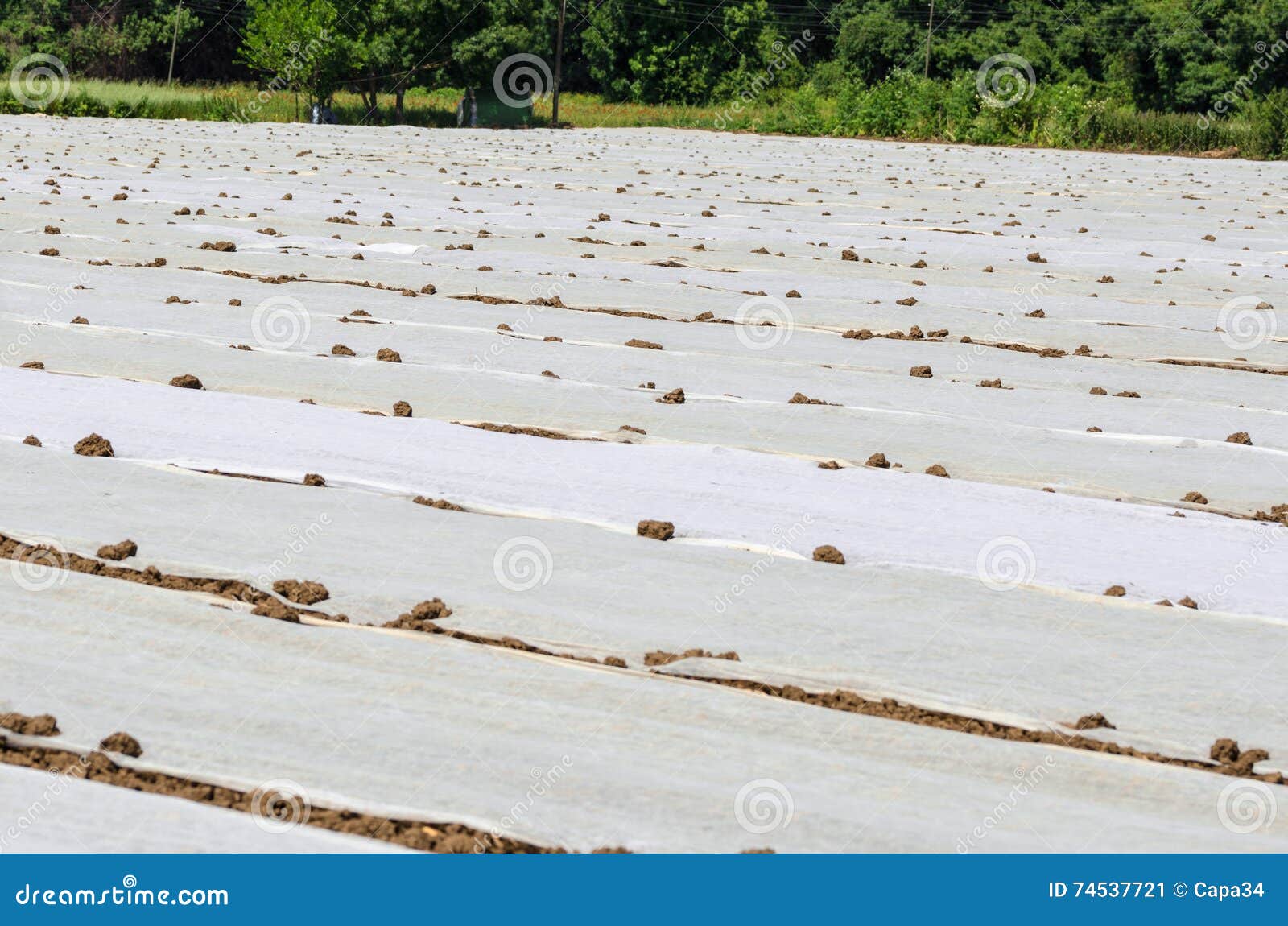 Ground with Plastic Protecting Strips Stock Image - Image of clouds ...
