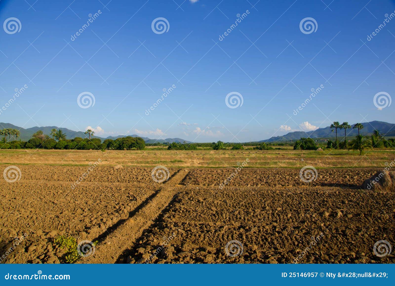 Ground preparation stock image. Image of growing, industry - 25146957