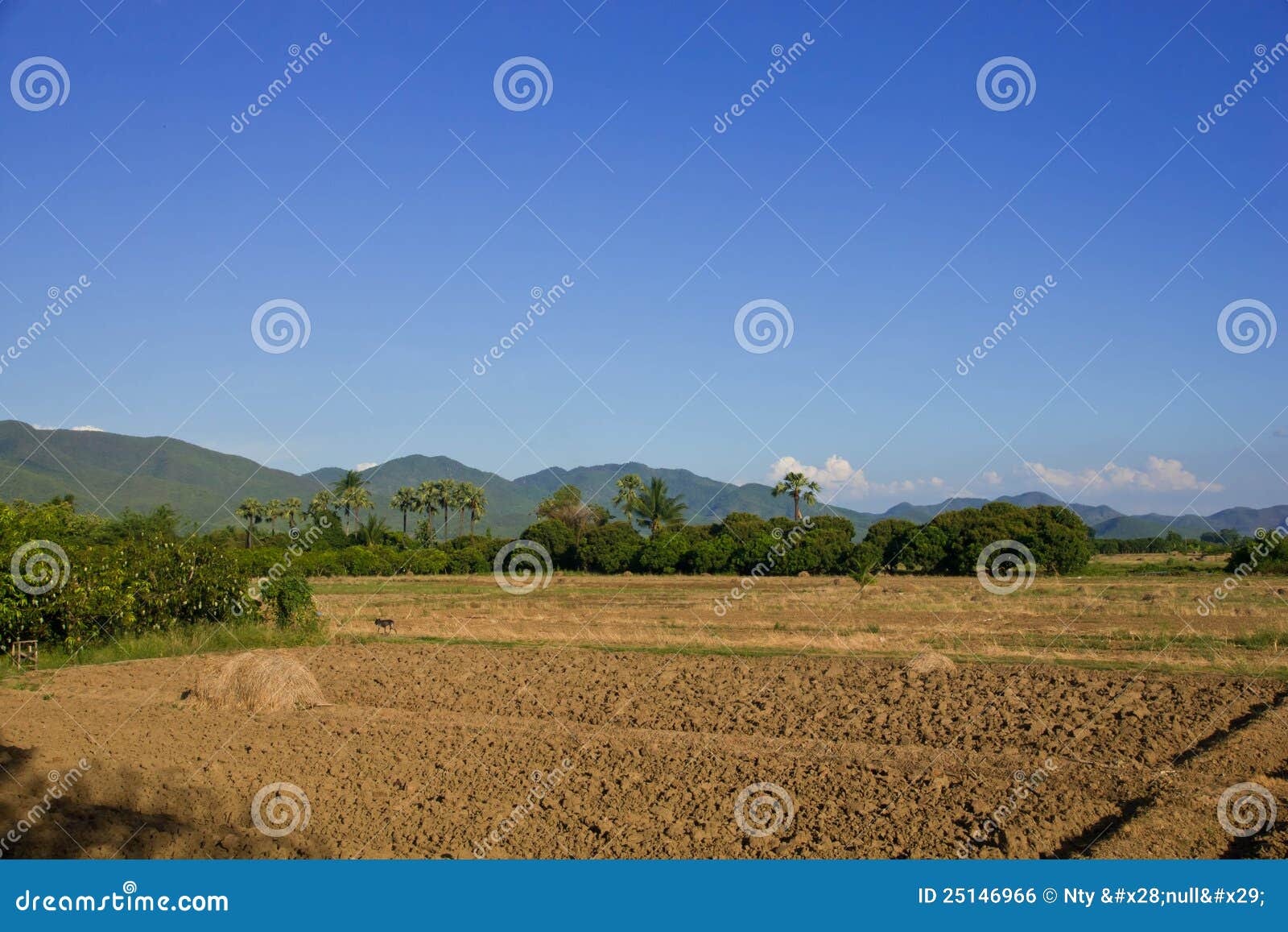 Ground preparation stock photo. Image of cultivated, farming - 25146966