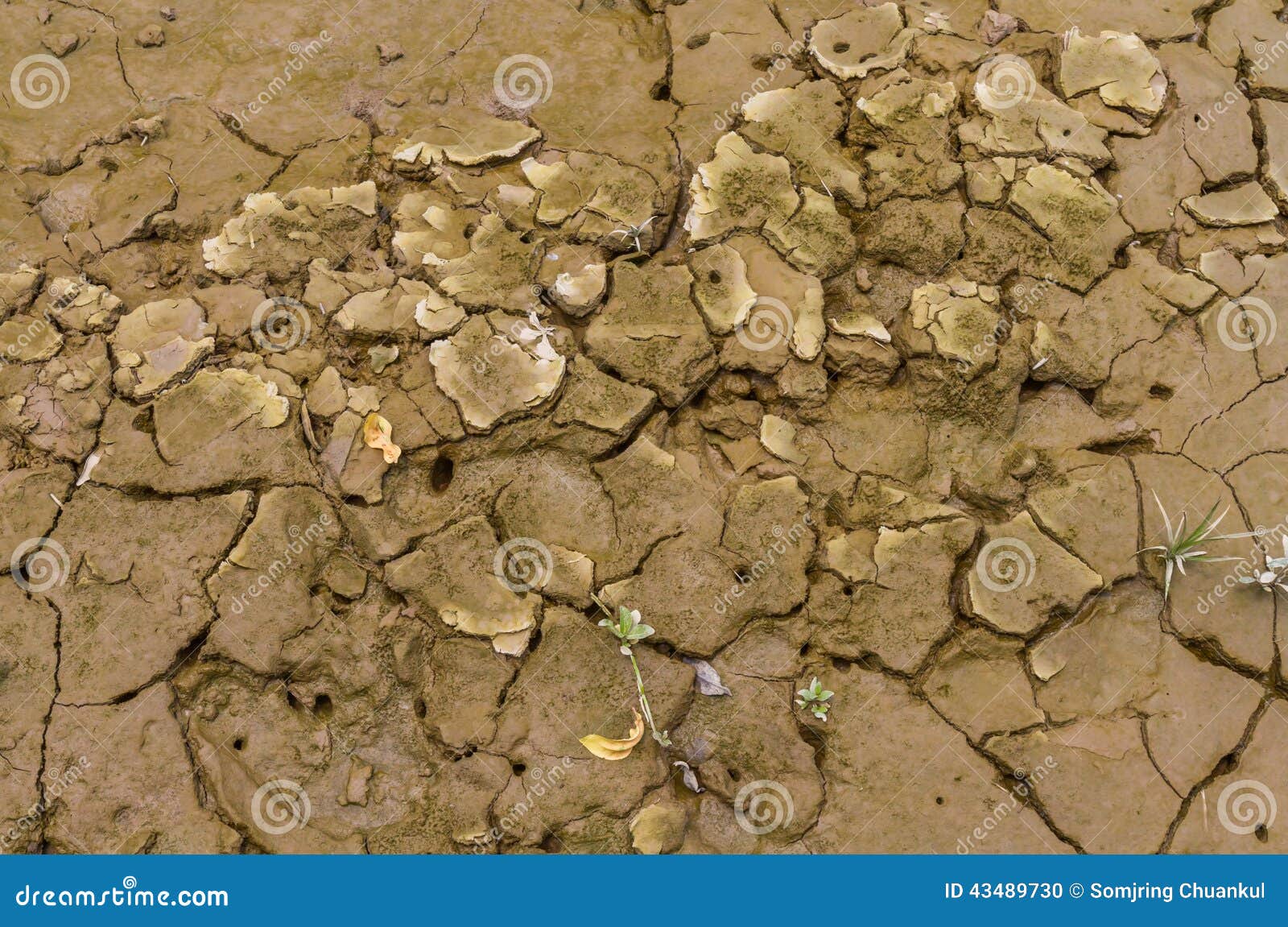 Ground of river dry. stock photo. Image of weather, land - 43489730