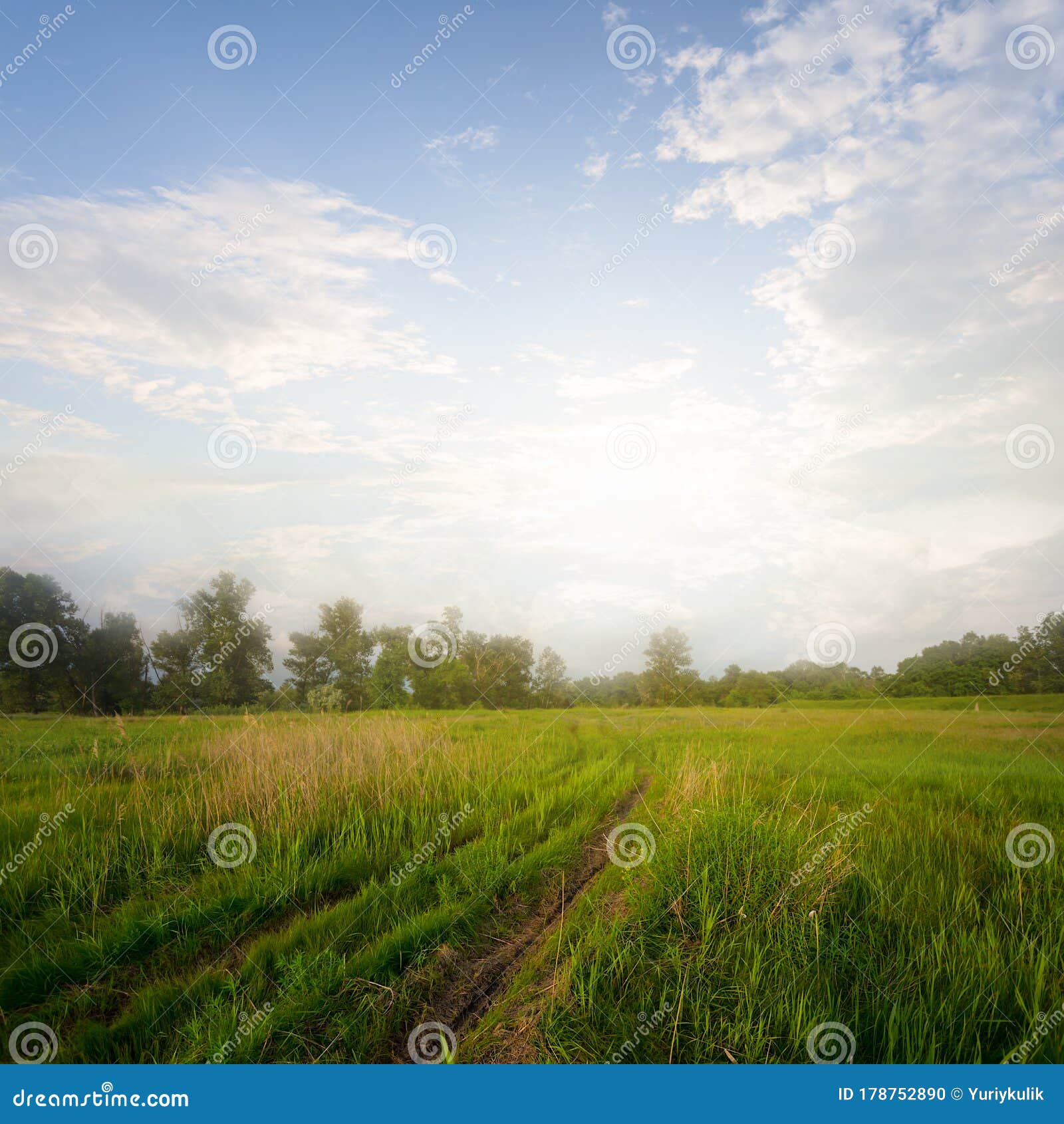 Road through a Green Prairie in a Light of Morning Sun Stock Photo ...