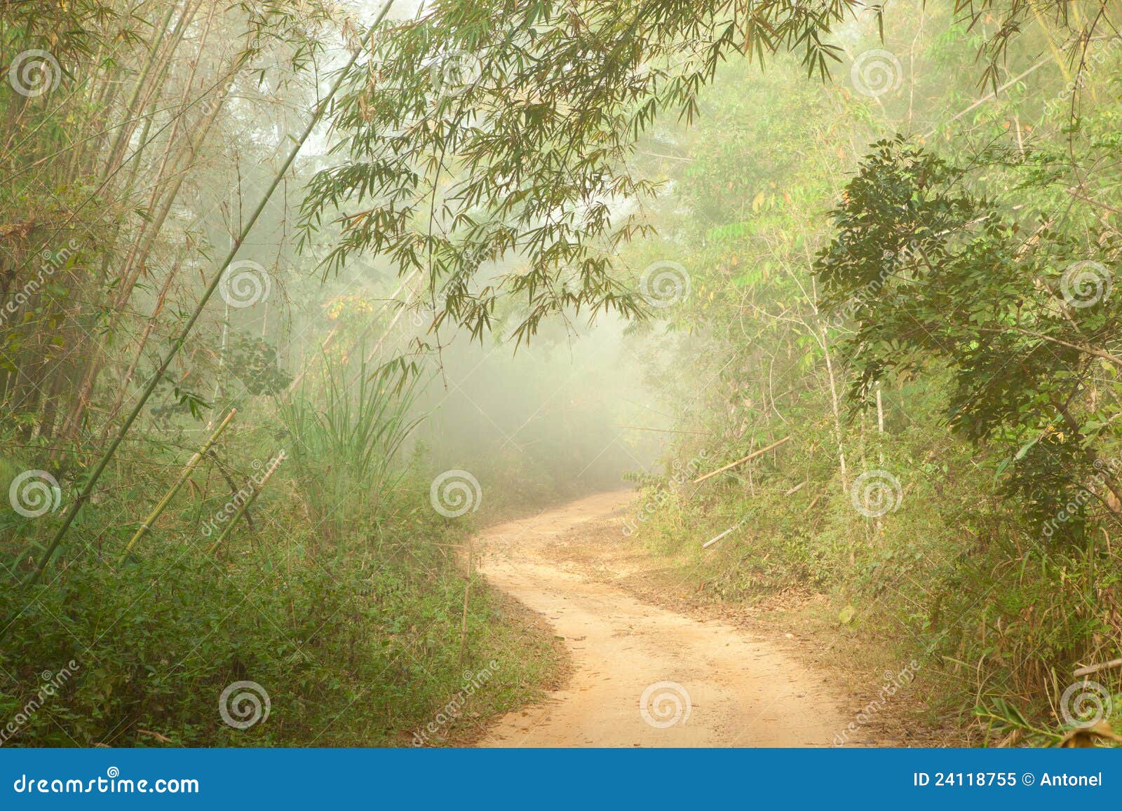 Red Ground Road And Savanna. Tsavo West, Kenya, Africa Royalty-Free ...