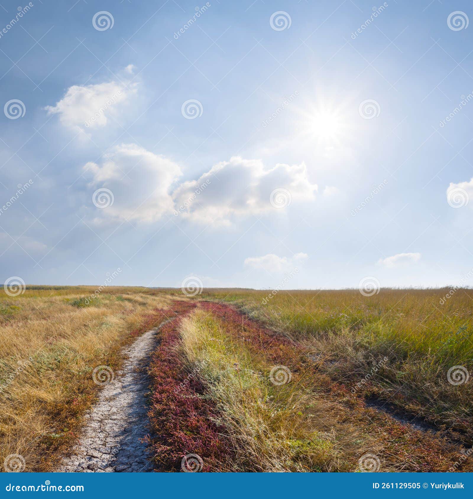 Road among Prairie at Hot Sunny Day Stock Image - Image of summer ...