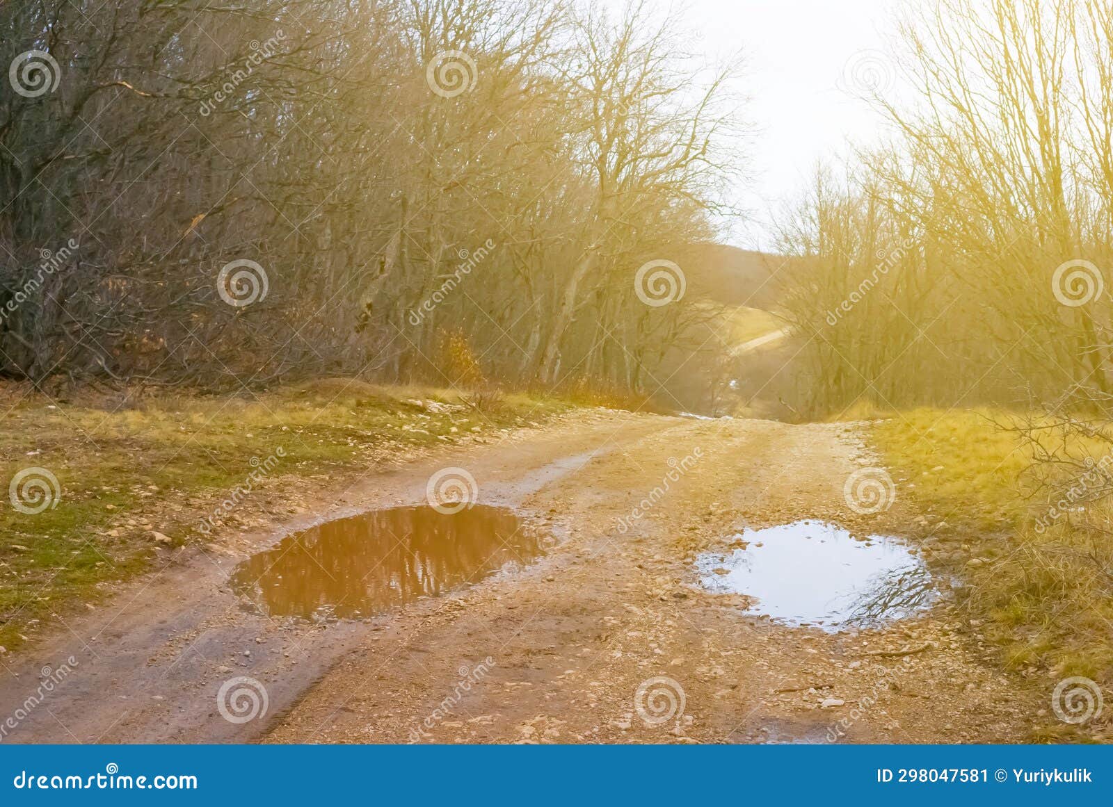 Road with Puddle in the Forest Stock Image - Image of sunshine, grove ...