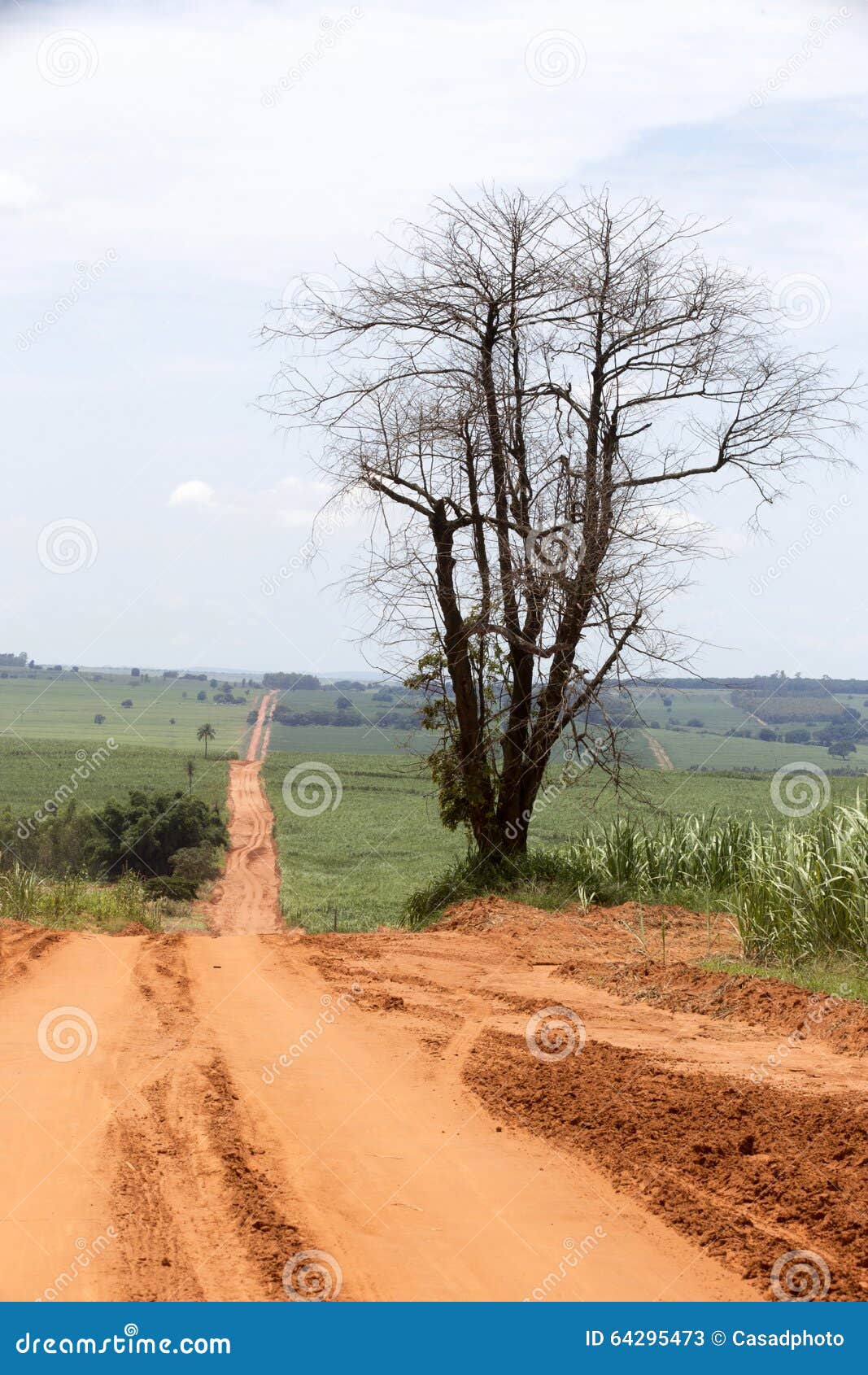 Ground road stock image. Image of land, field, rural - 64295473