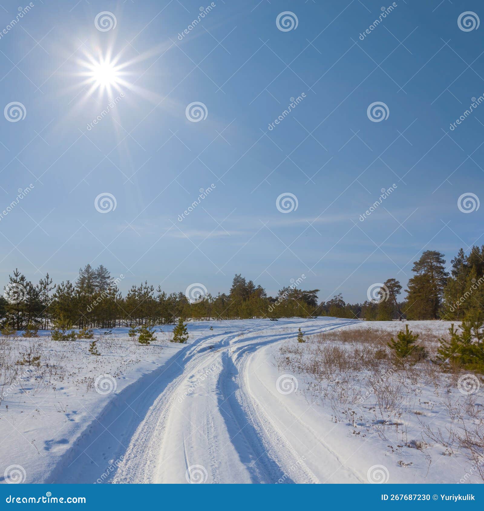 Road among Winter Snowbound Forest at Sunny Day Stock Photo - Image of ...
