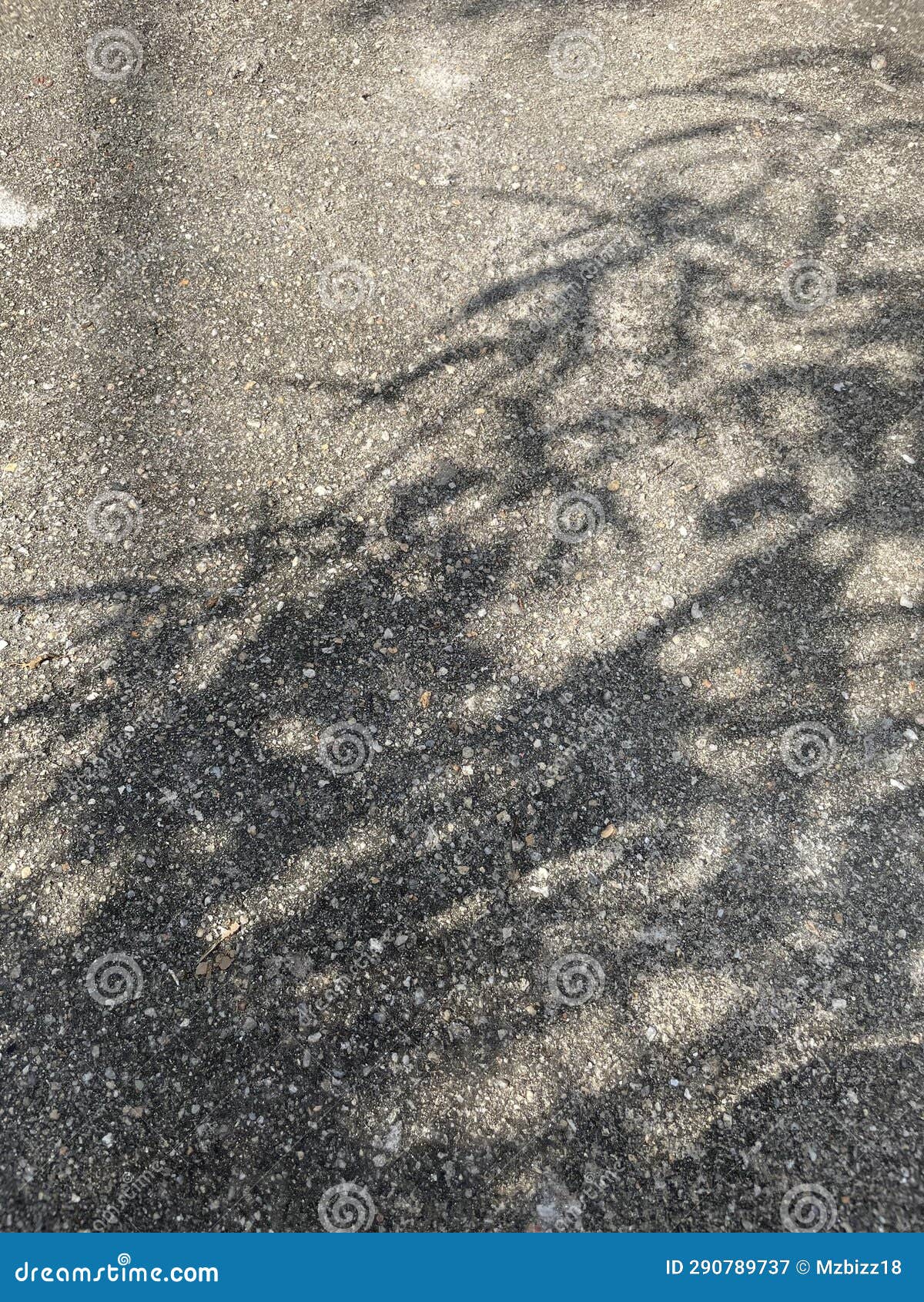 Abstract Shadows, Blurred Backgrounds, Blue Leaves, Blue And Natural ...