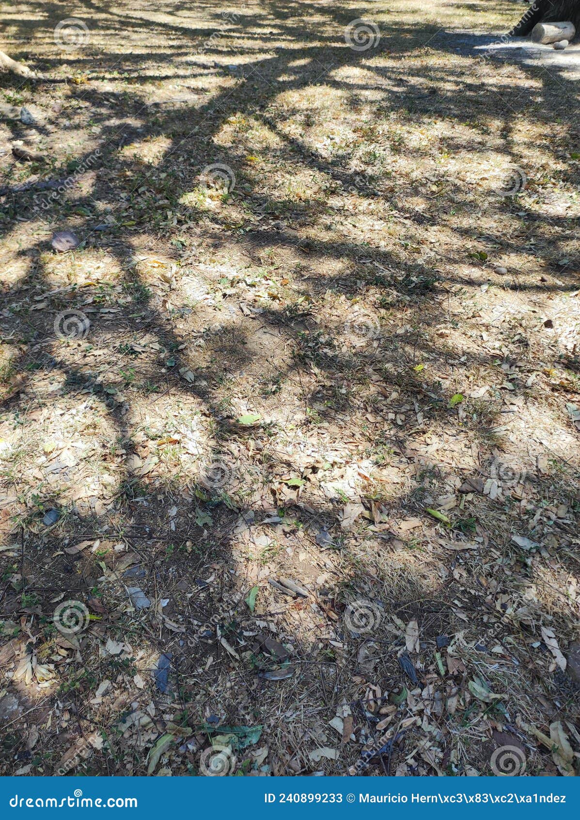 Ground with shadows stock image. Image of trail, ground - 240899233