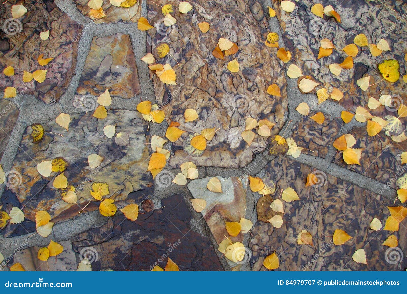 Ground Shot 3 Picture. Image: 84979707