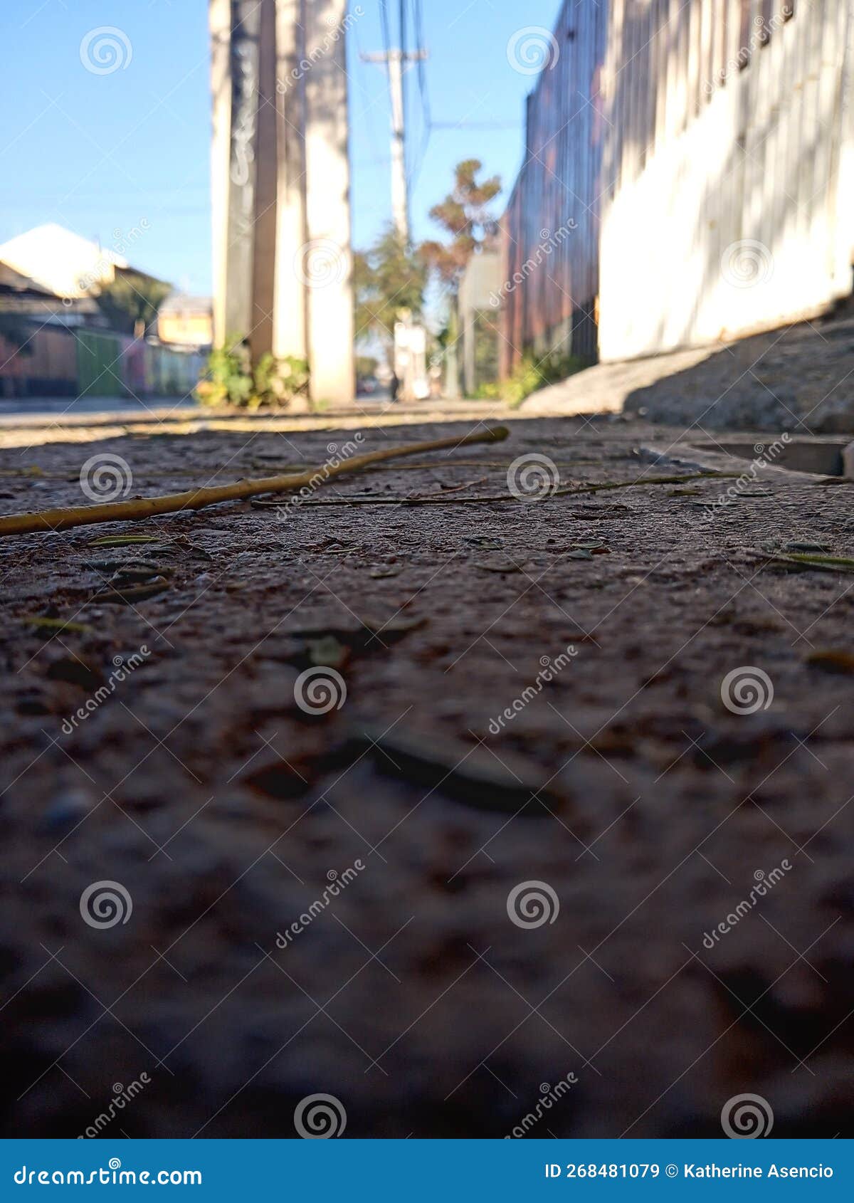 Ground on the Side of a Street ????? Stock Image - Image of wall, wood ...