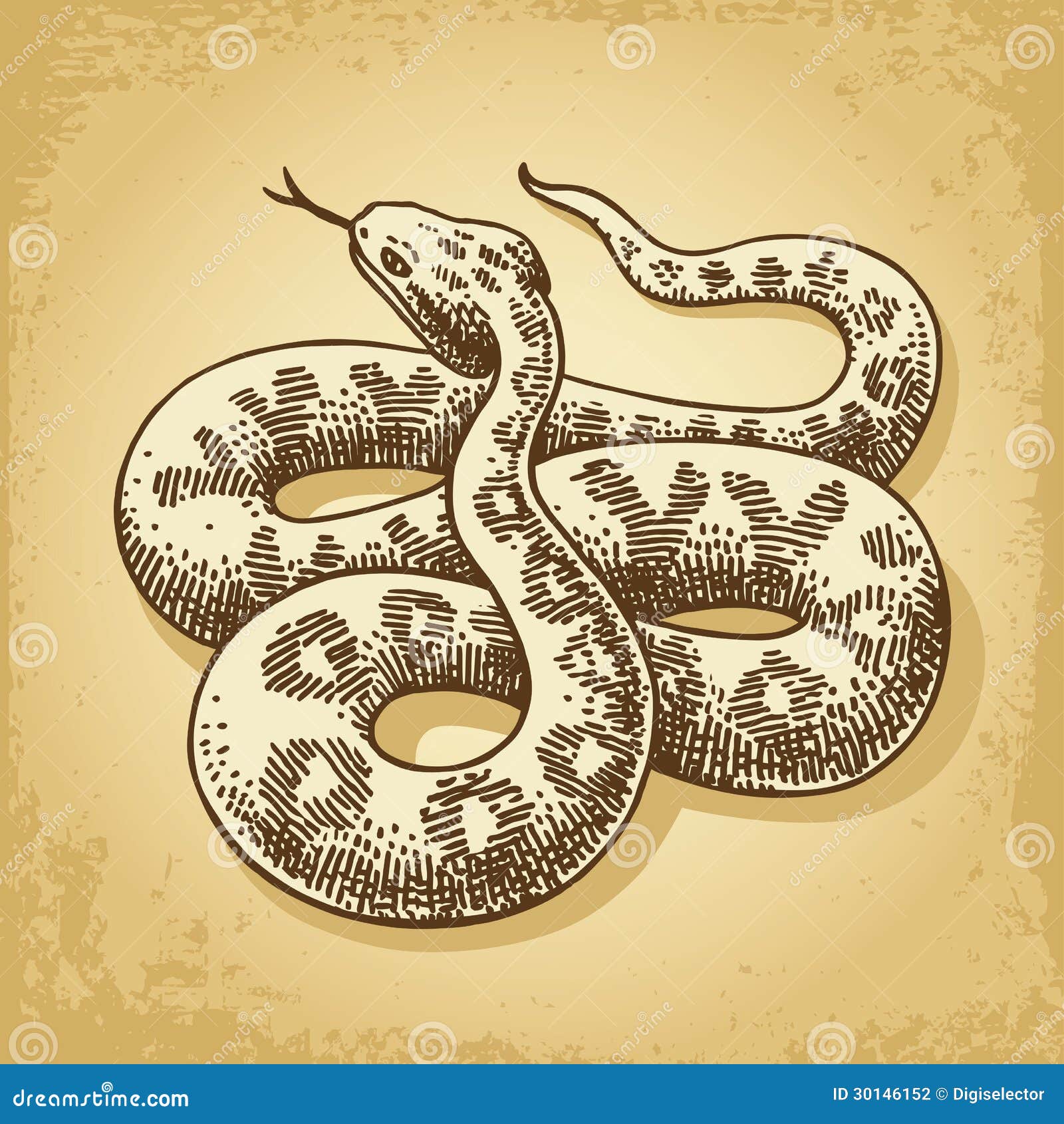 Snake Illustration Isolated On White Background. Design Element For ...
