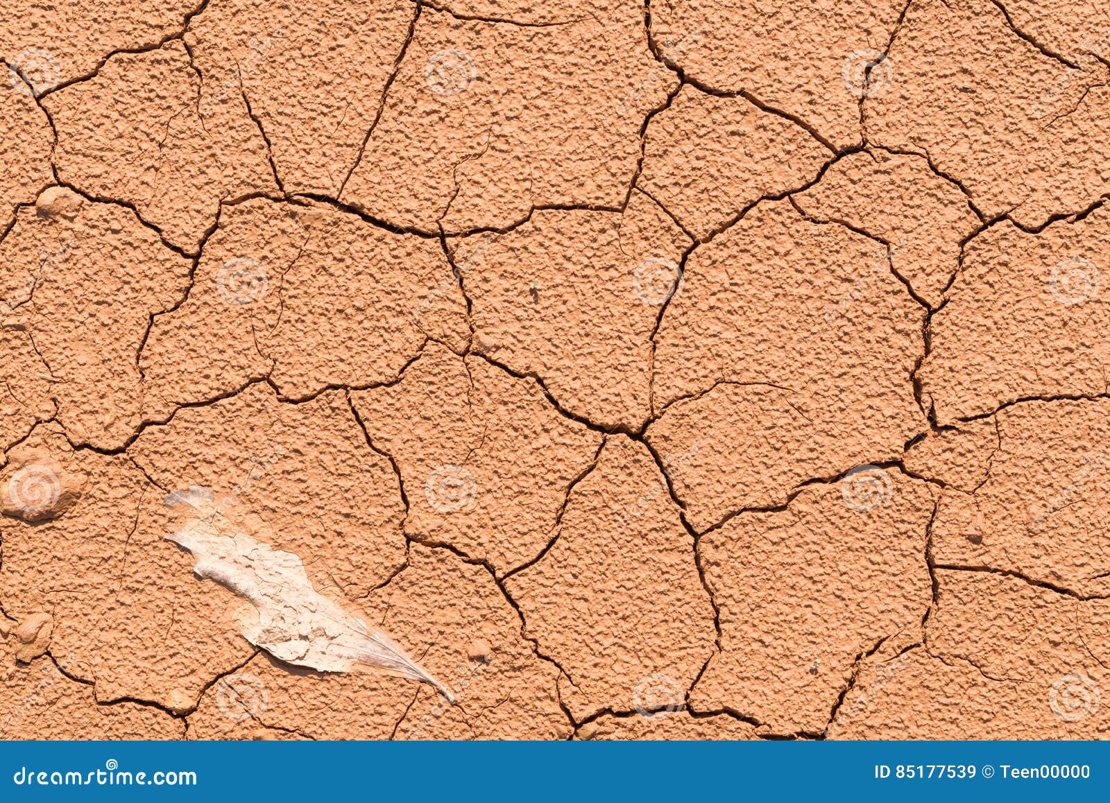 Ground Soil Texture Dry Dirt Land with Rock Stock Image - Image of dust ...