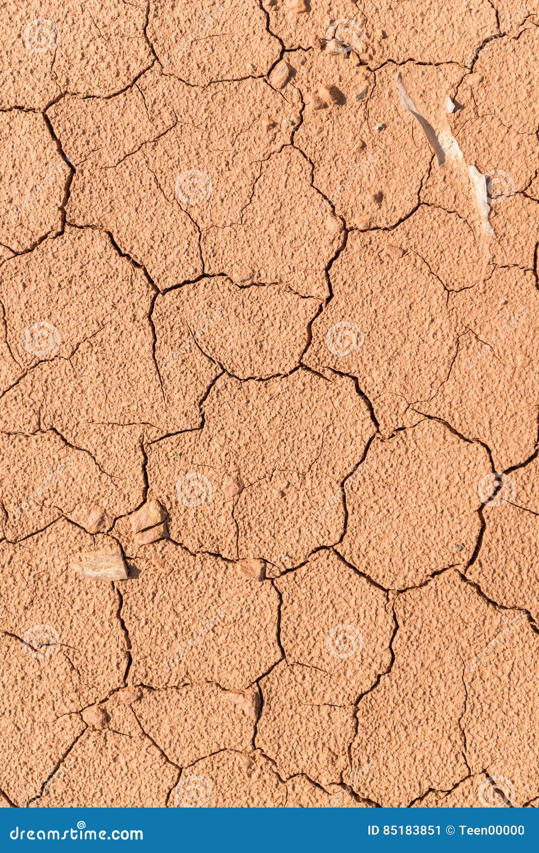 Ground Soil Texture Dry Dirt Land with Rock Stock Image - Image of ...