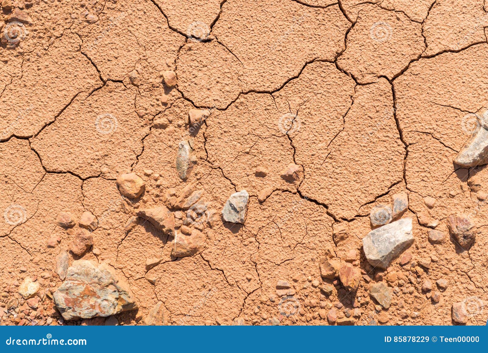 Ground Soil Texture Dry Dirt Land with Rock Stock Image - Image of ...