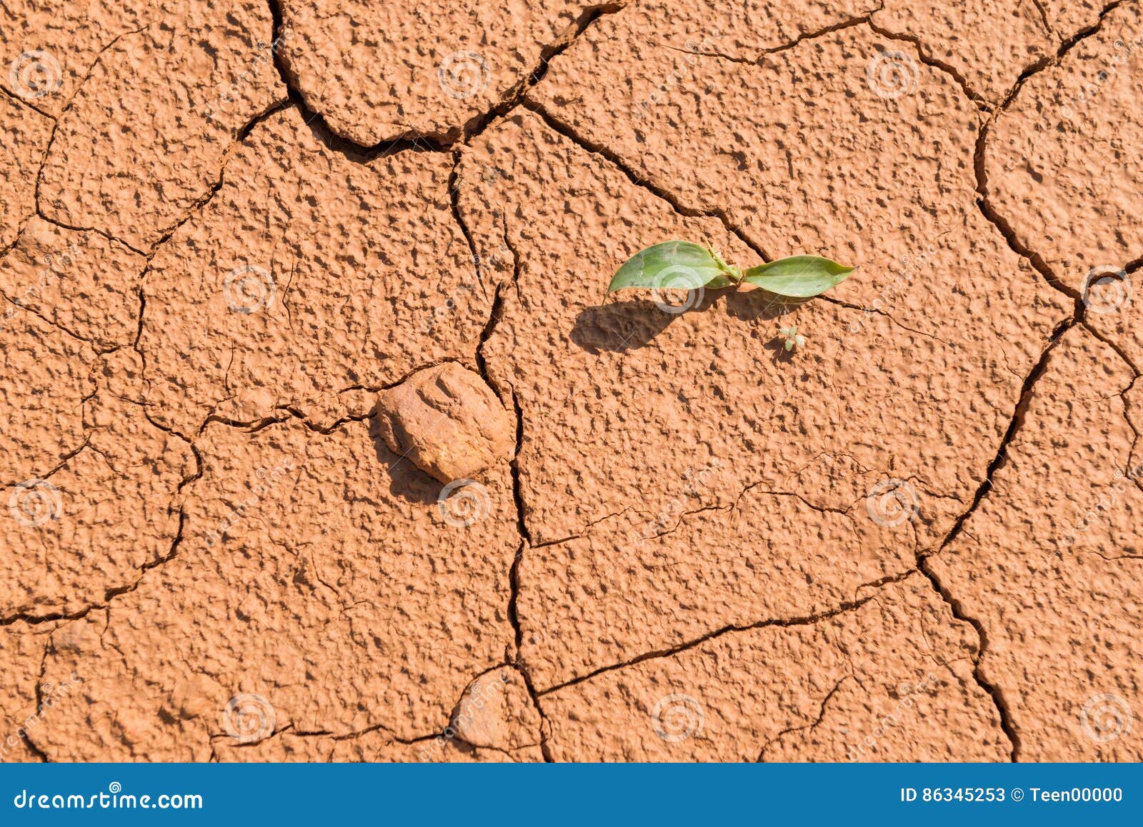 Ground Soil Texture Dry Dirt Land with Rock Stock Image - Image of ...