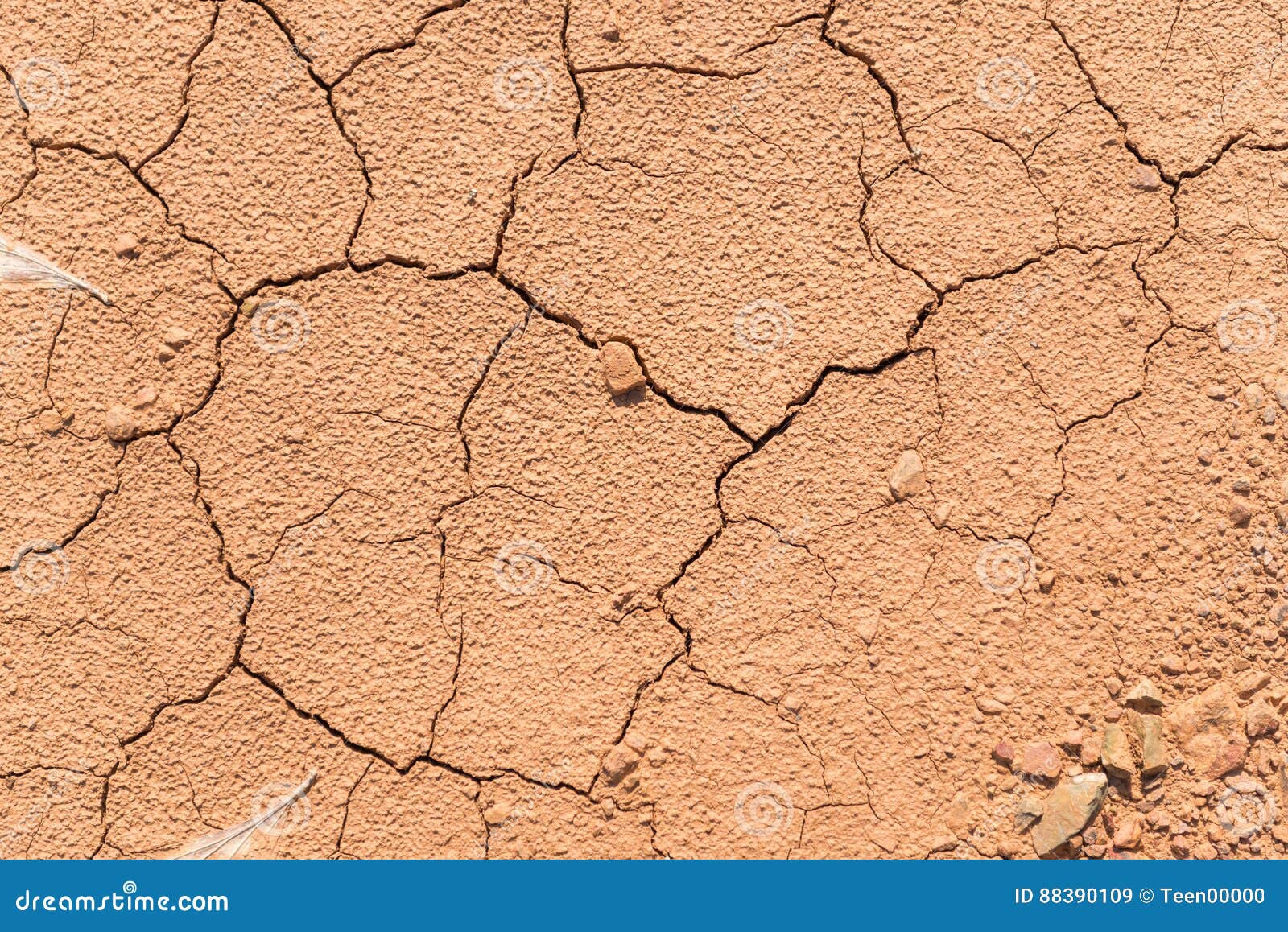 Ground Soil Texture Dry Dirt Land with Rock Stock Image - Image of land ...