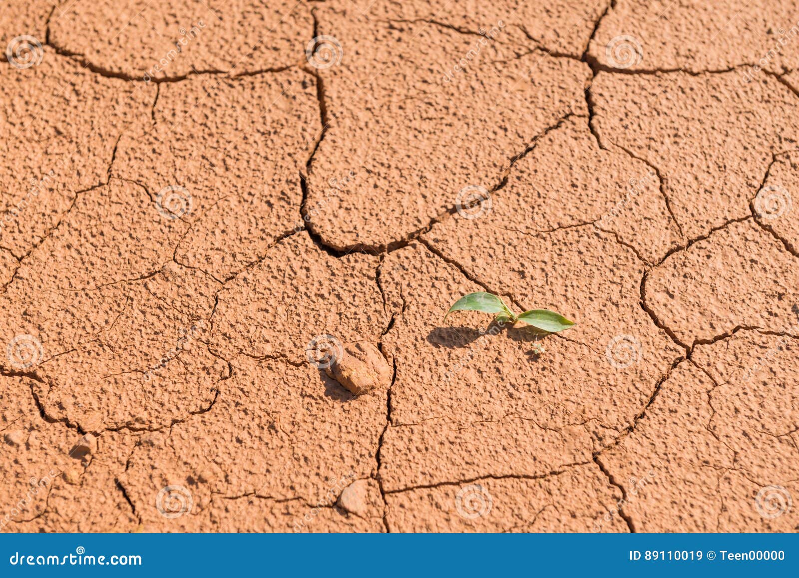 Ground Soil Texture Dry Dirt Land with Rock Stock Image - Image of ...