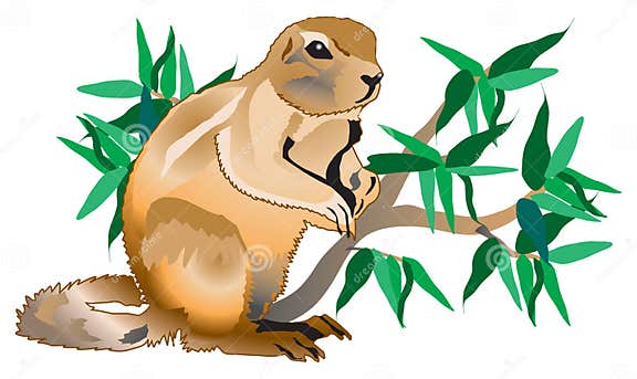 Ground Squirrel stock vector. Illustration of rusty, grass - 23969271