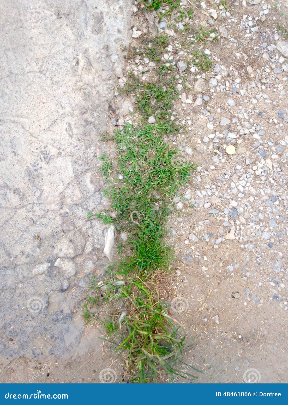 Stone And Grass Texture Royalty-Free Stock Photography | CartoonDealer ...