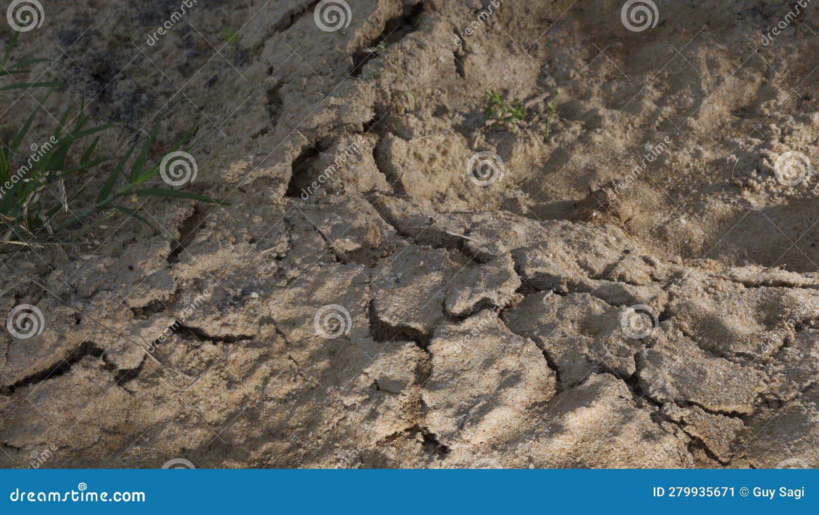Ground Surface Torn Up by Vole Digging Stock Image - Image of torn ...