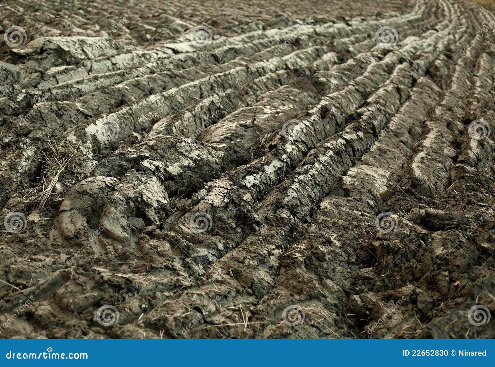 Ground texture stock photo. Image of wallpaper, rough - 22652830