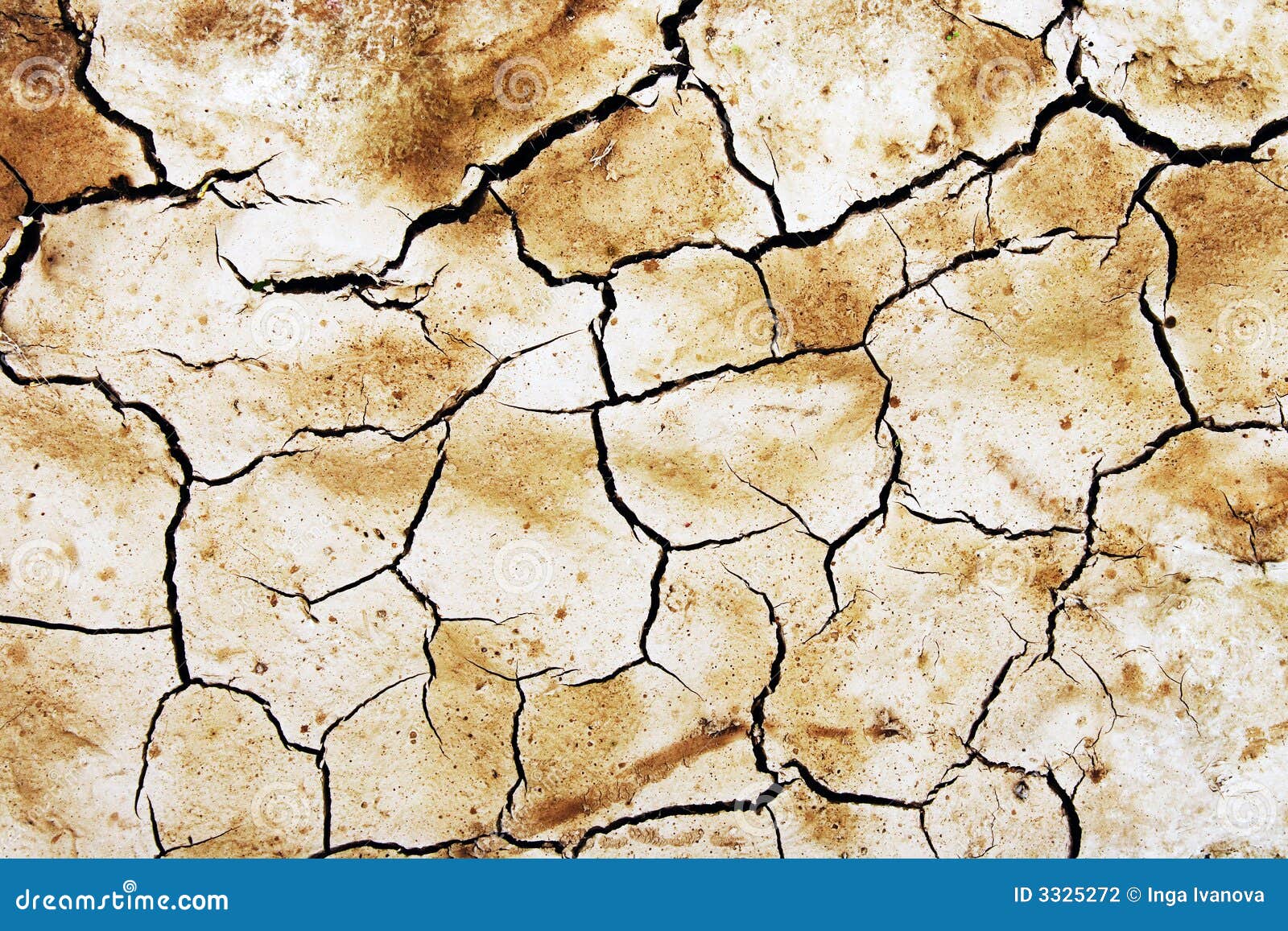 Ground Texture stock photo. Image of nature, effect, dryness - 3325272