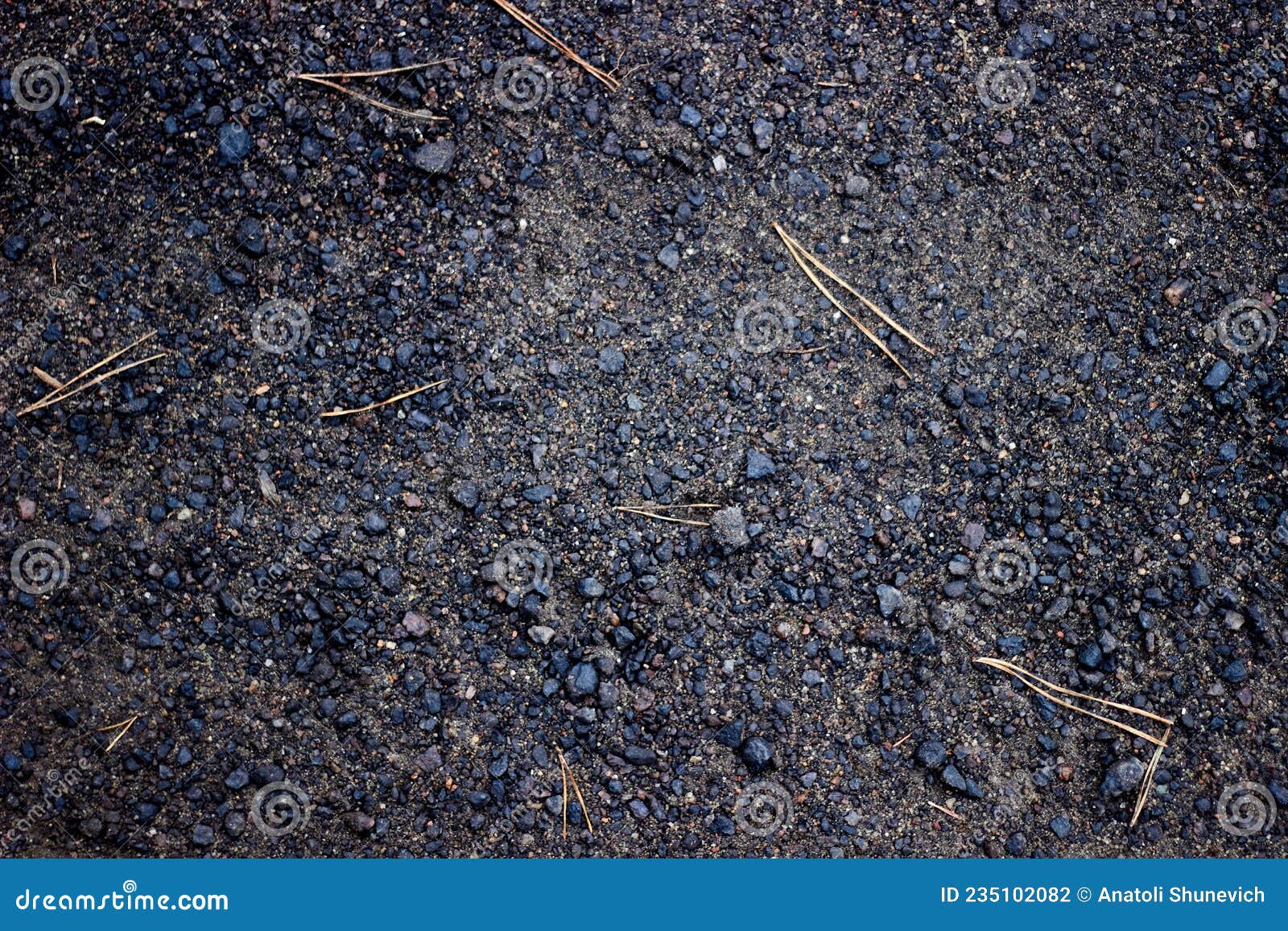 A Ground Texture Background with Pieces of Grass Small Rocks Pebbles ...