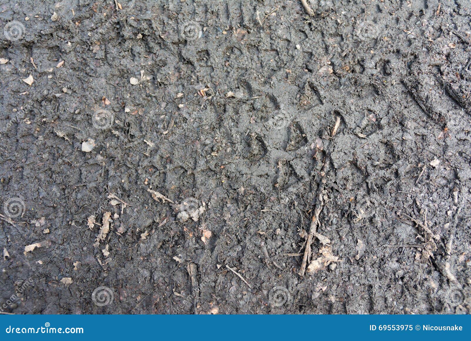 Ground texture close up stock image. Image of texture - 69553975