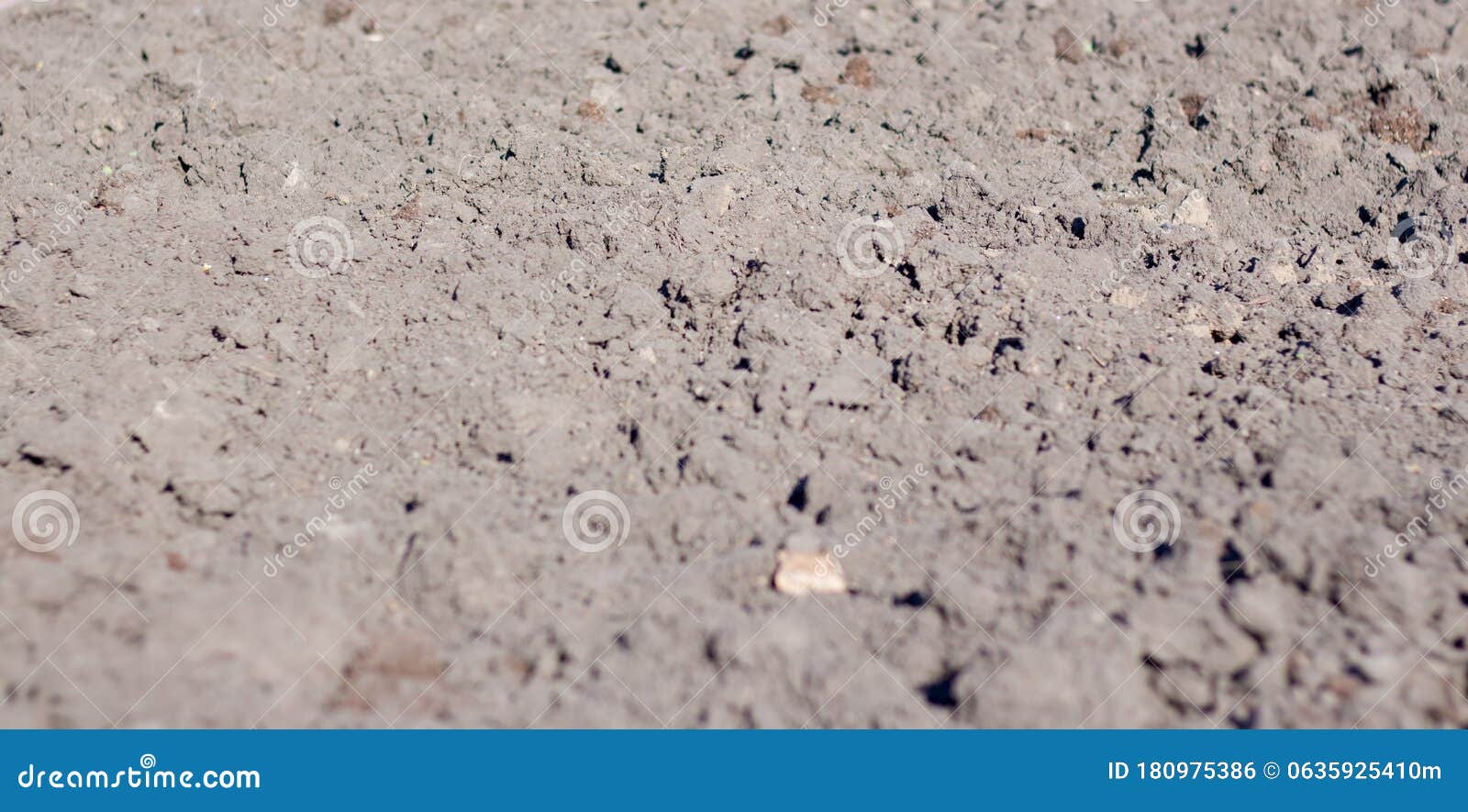 Ground texture closeup stock photo. Image of farm, brown - 180975386
